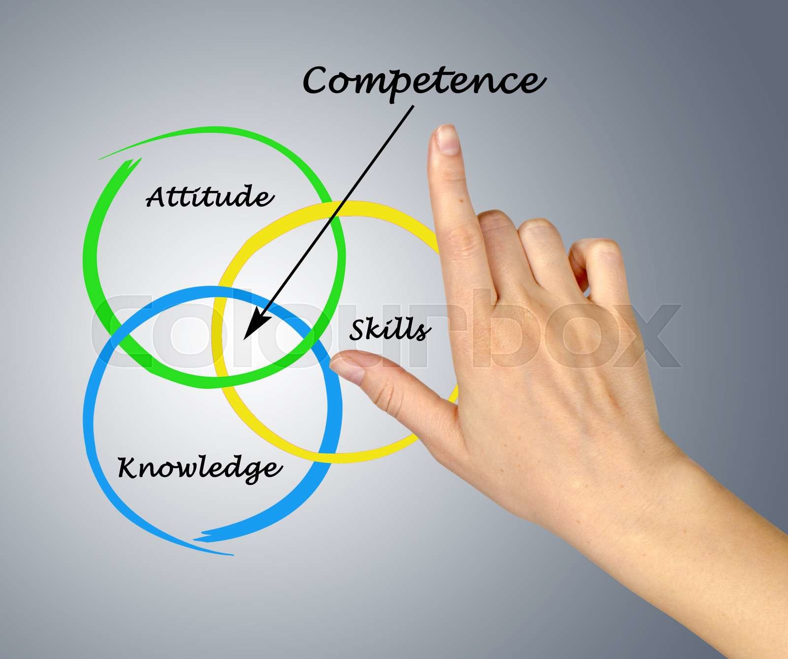 Diagram of competence | Stock image | Colourbox