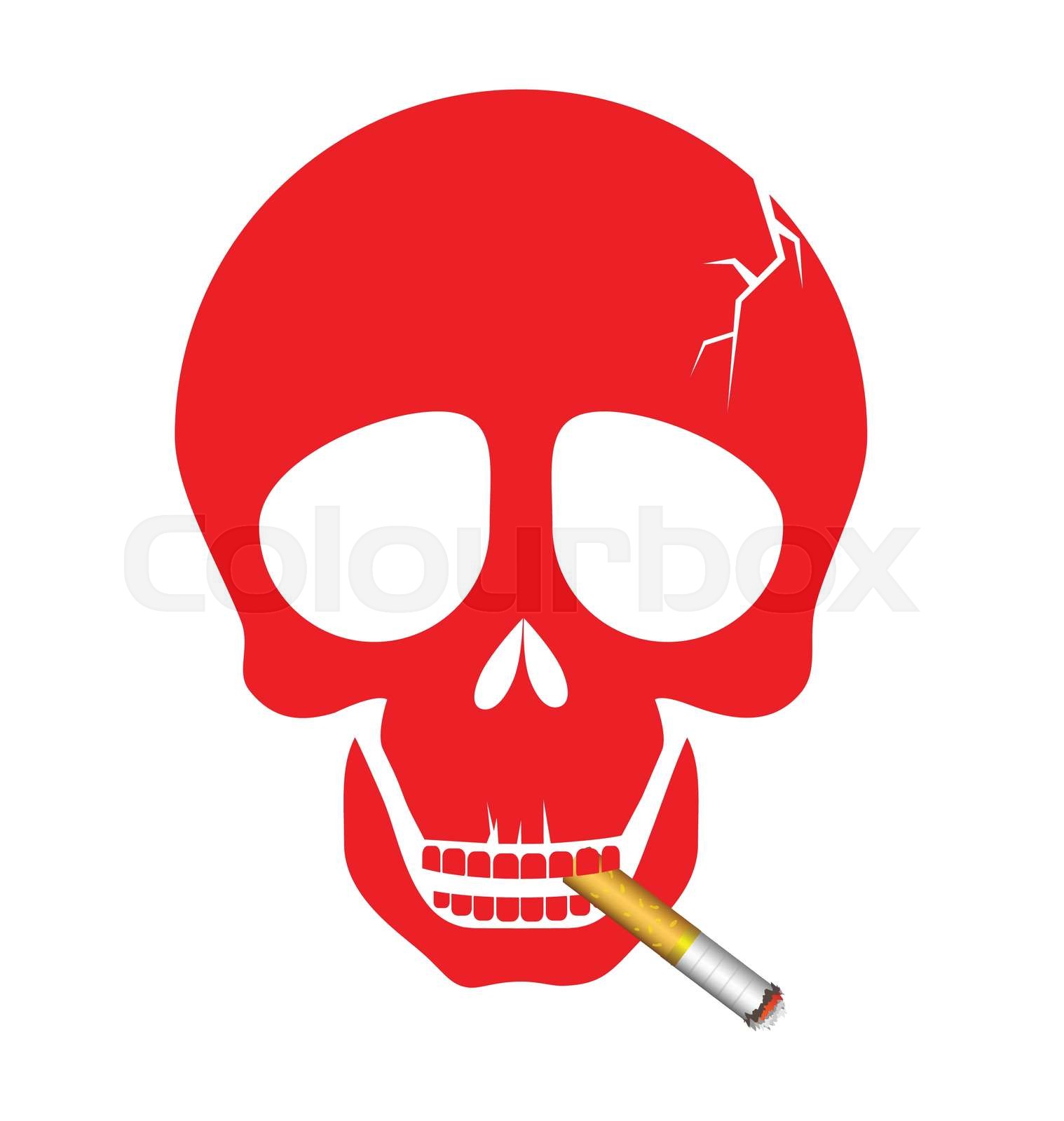 A human skull smoking a cigarette | Stock vector | Colourbox