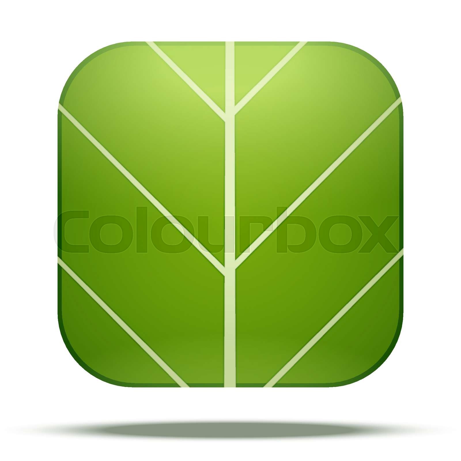 Leaf Square Icon Vector | Stock vector | Colourbox