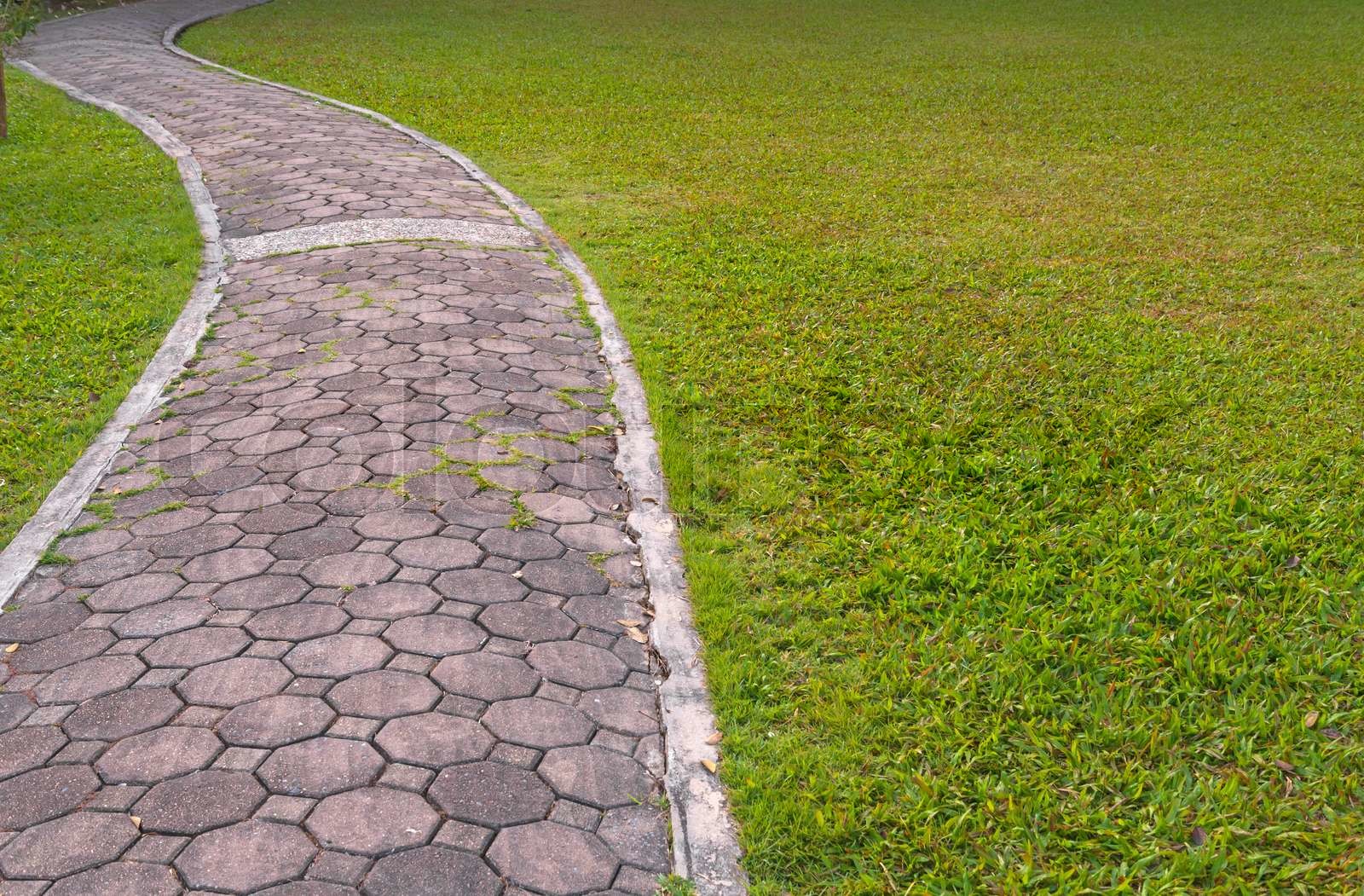 pathway with green grass in park | Stock image | Colourbox