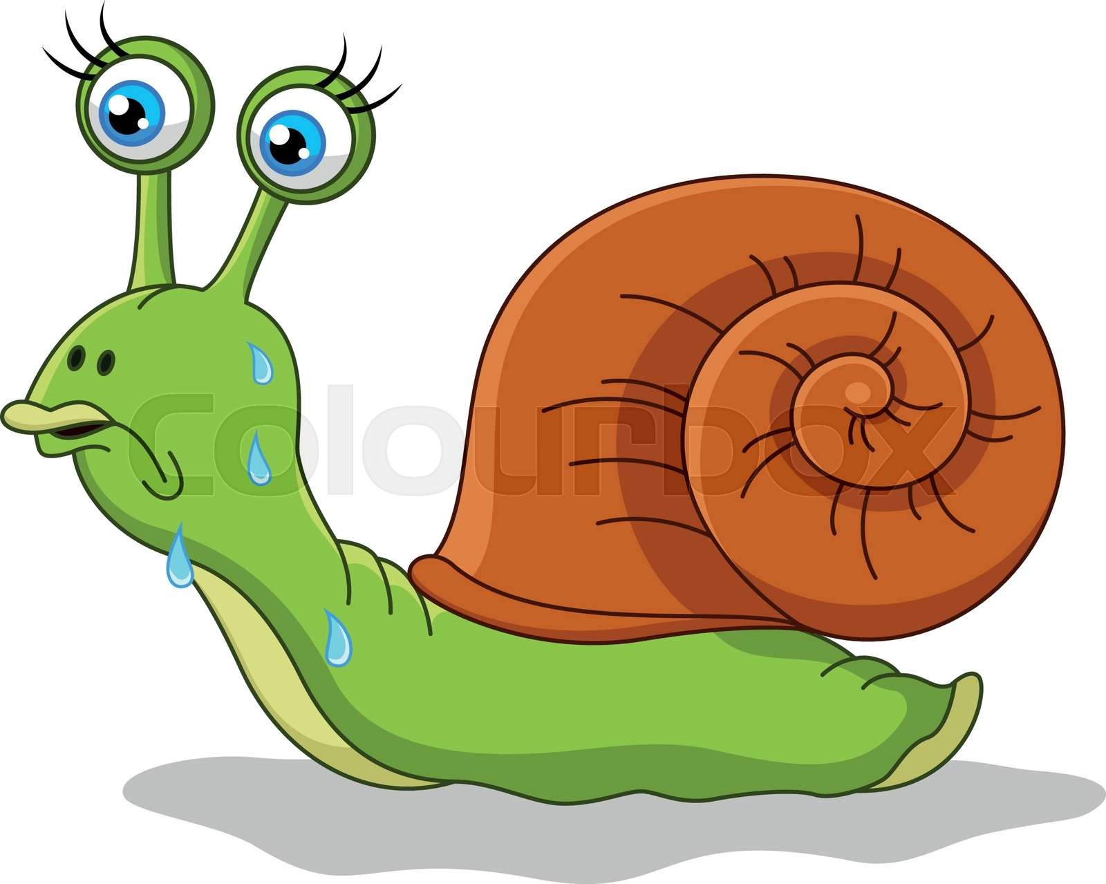 Really Cool Animated Snail
