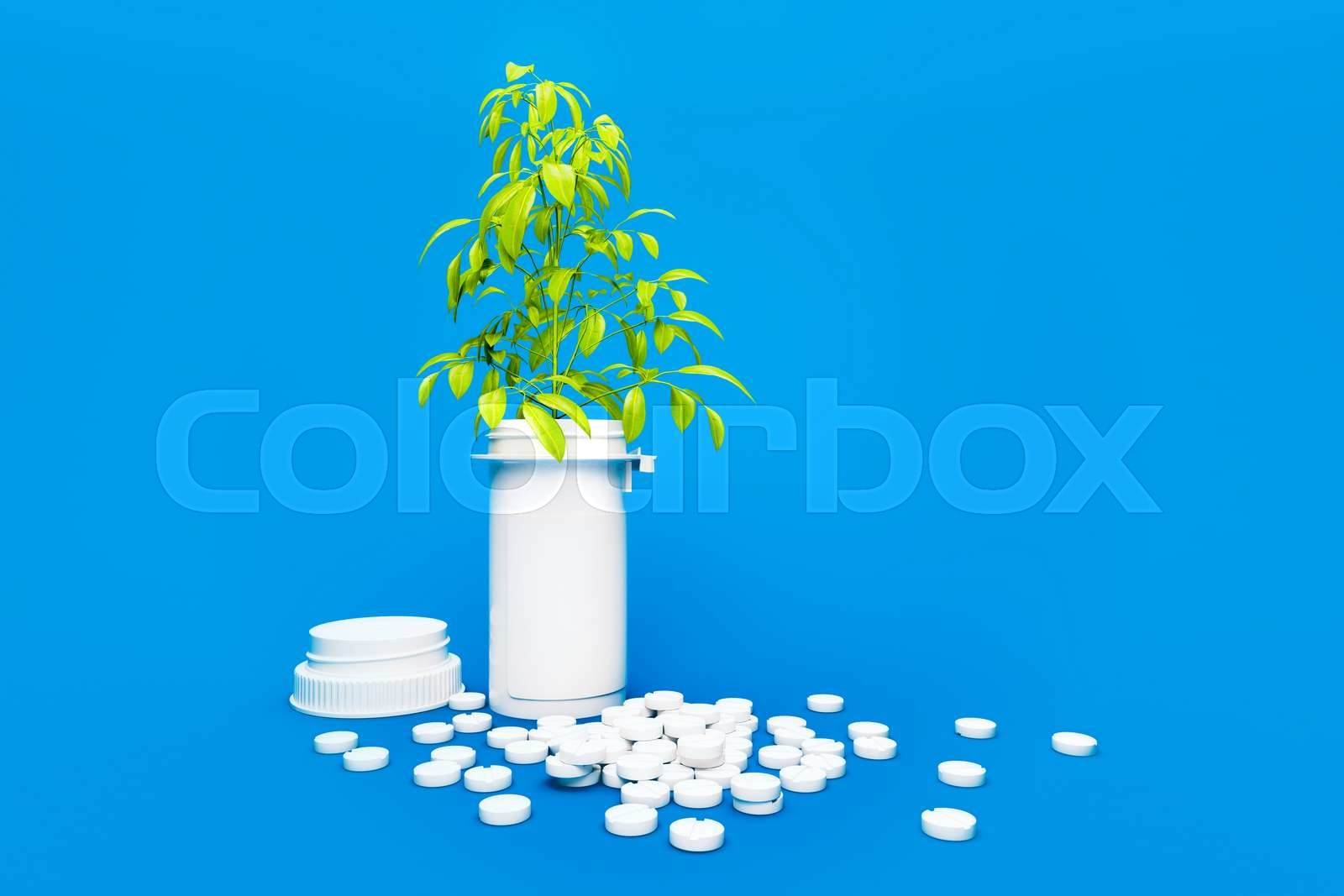 Herbal medicine - tree growing on pile of drugs | Stock image | Colourbox