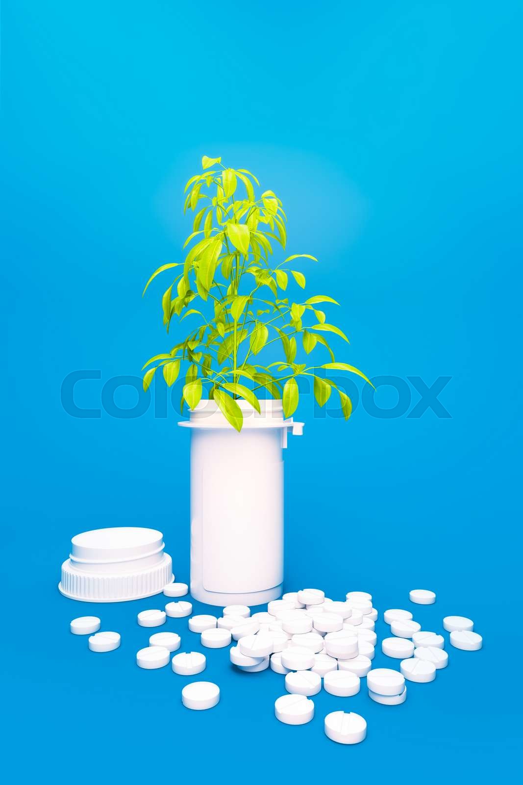 Herbal medicine - tree growing on pile of drugs | Stock image | Colourbox