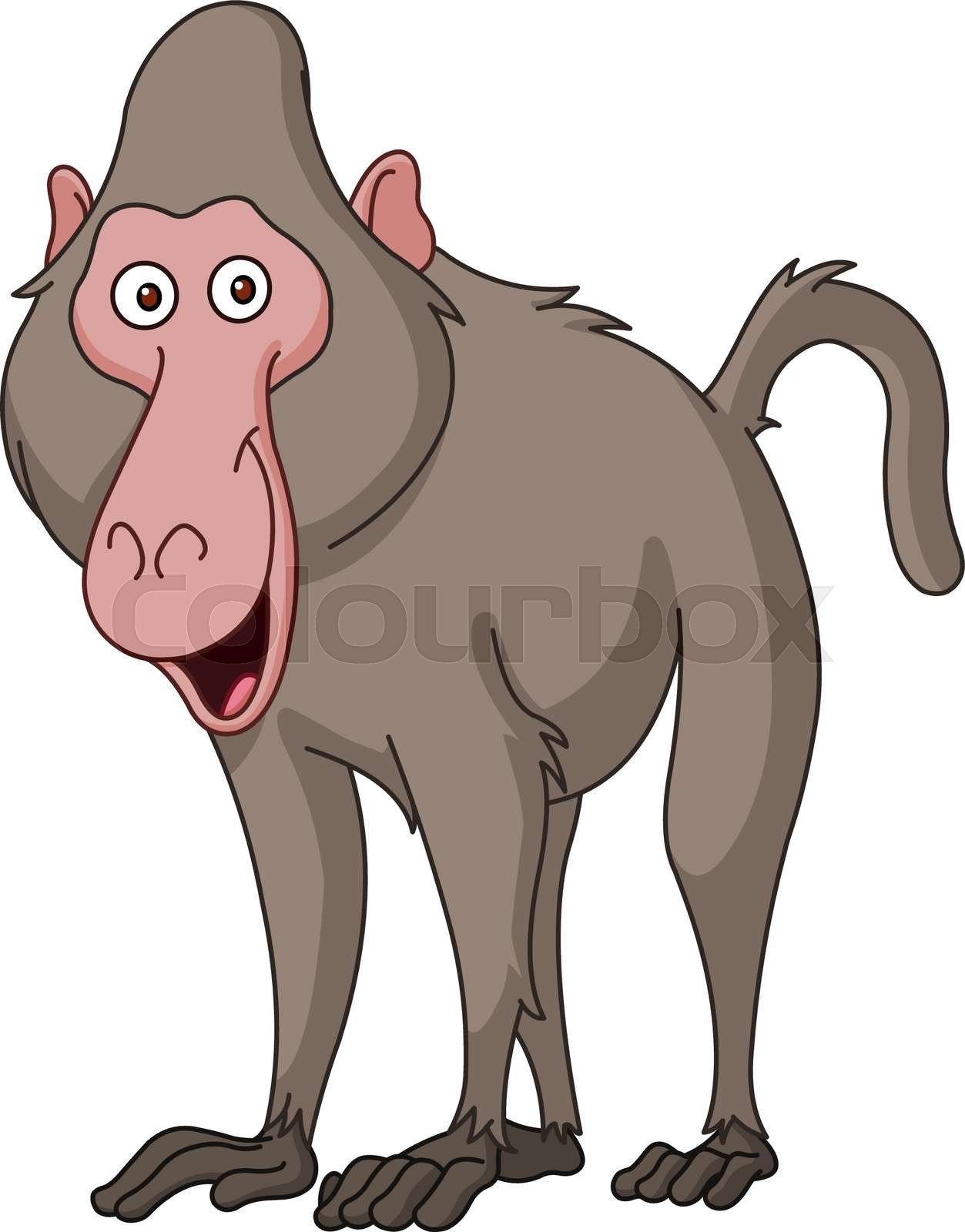 Smiling baboon | Stock vector | Colourbox