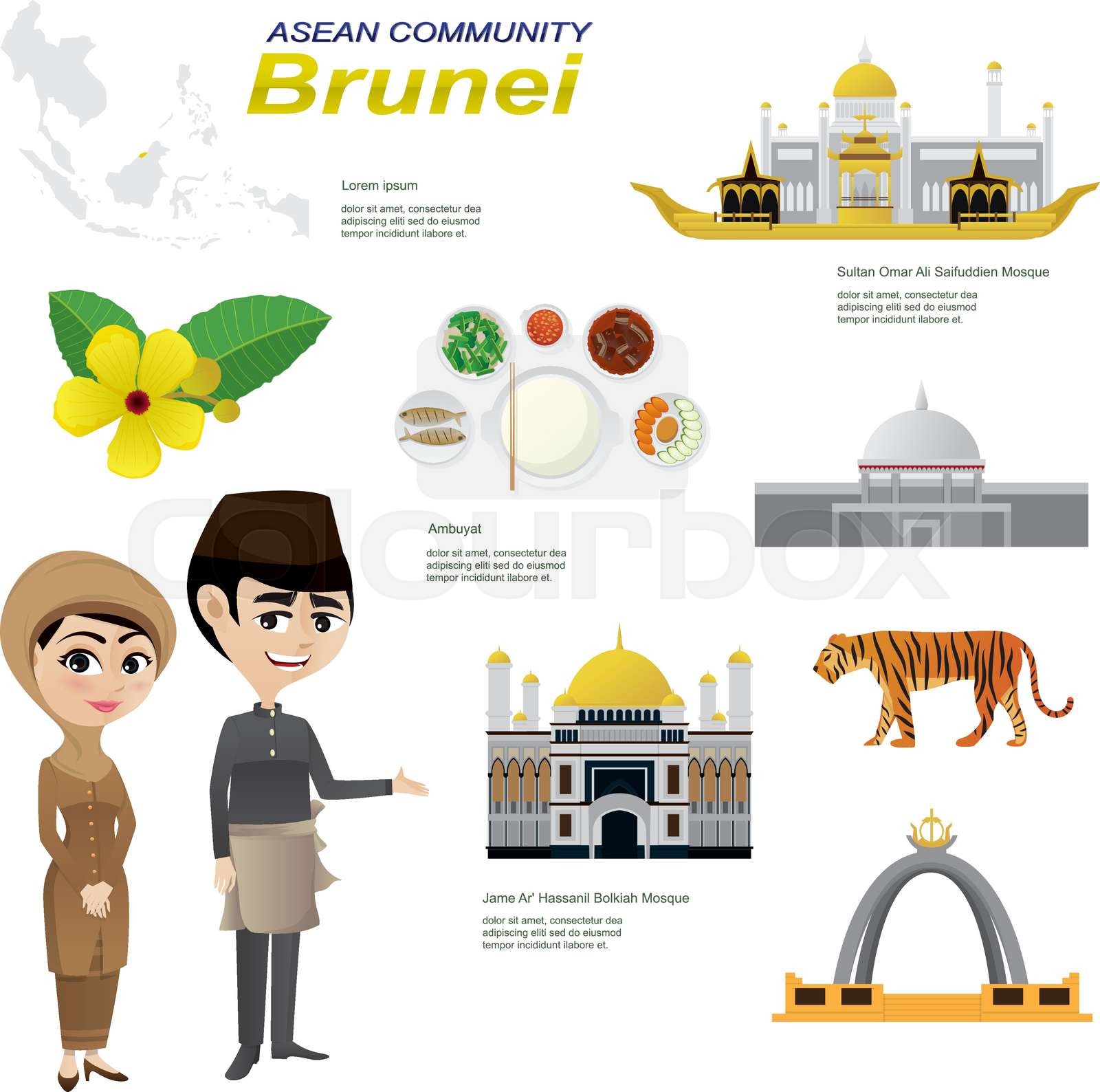 cartoon infographic of brunei asean community. | Stock vector | Colourbox