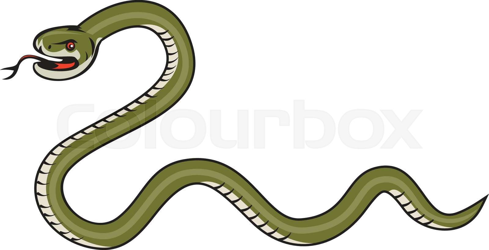 Serpent Coiling Side Isolated Cartoon | Stock vector | Colourbox