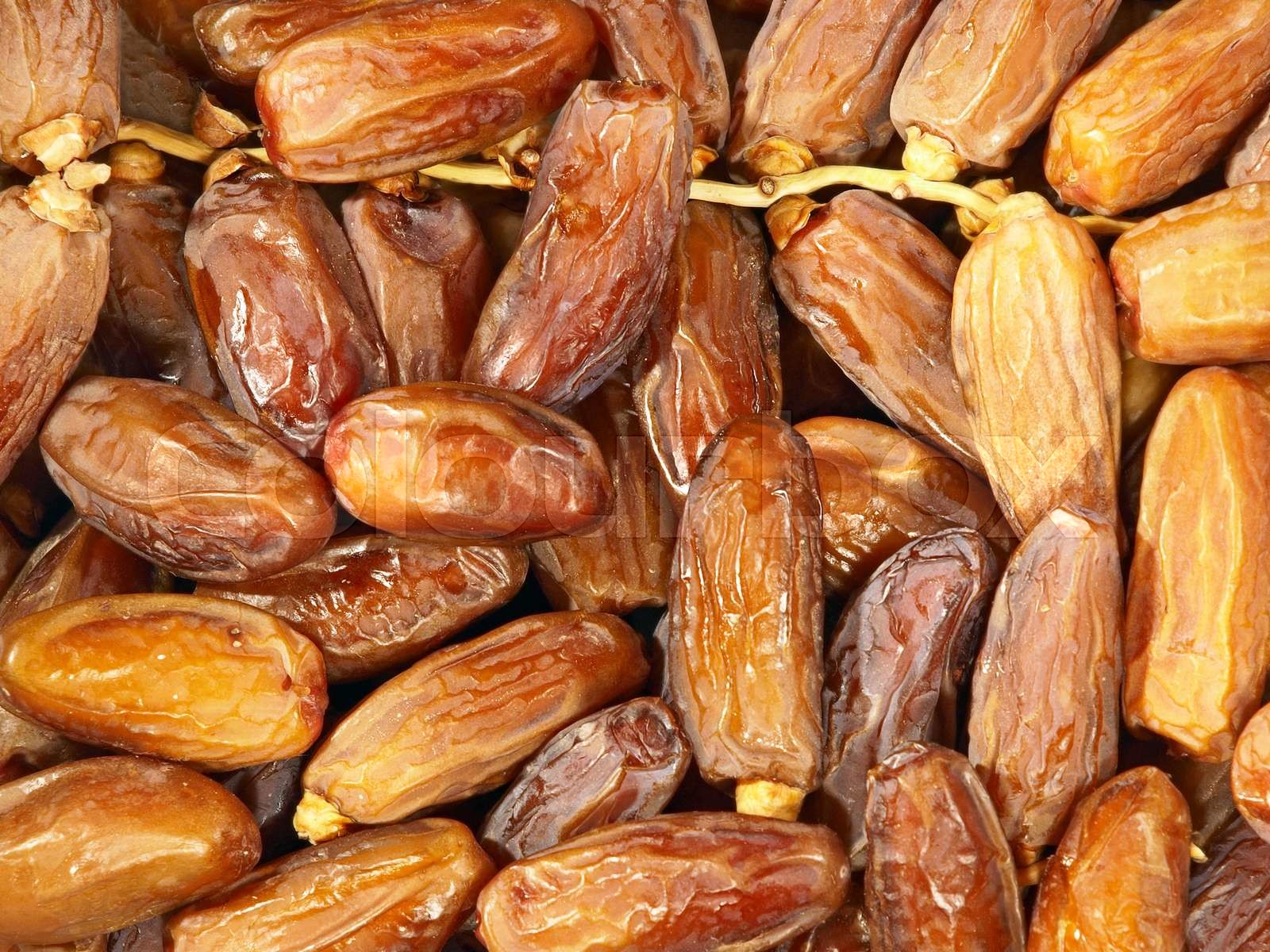 Fresh dates. | Stock image | Colourbox