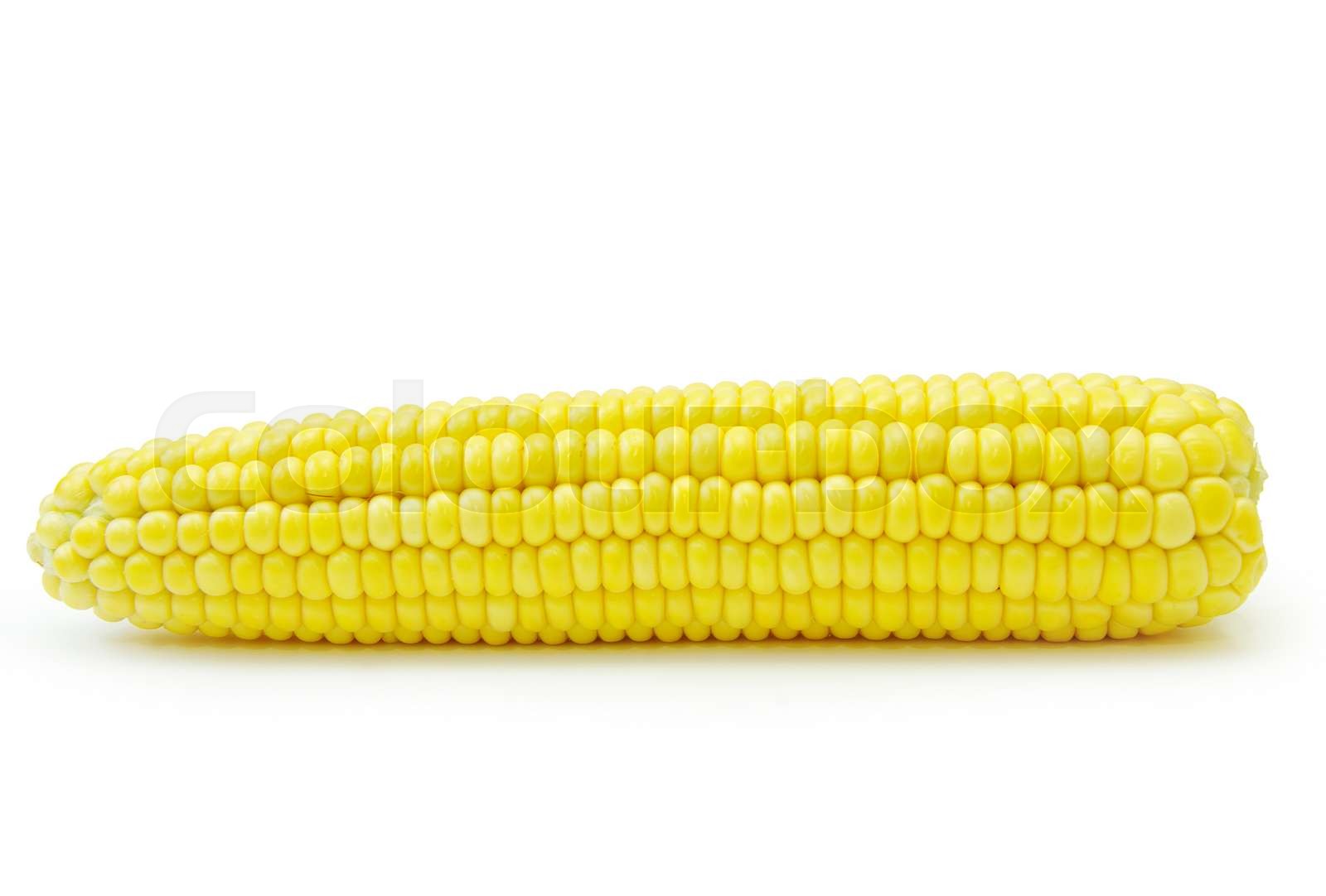 maize | Stock image | Colourbox