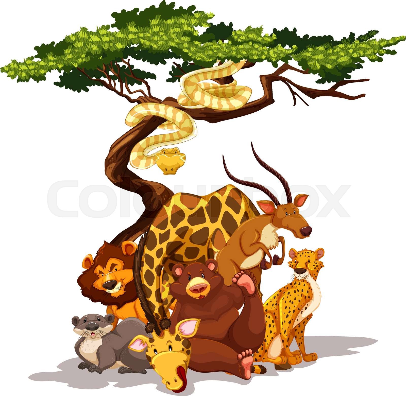 illustration, python, figur | Stock vektor | Colourbox