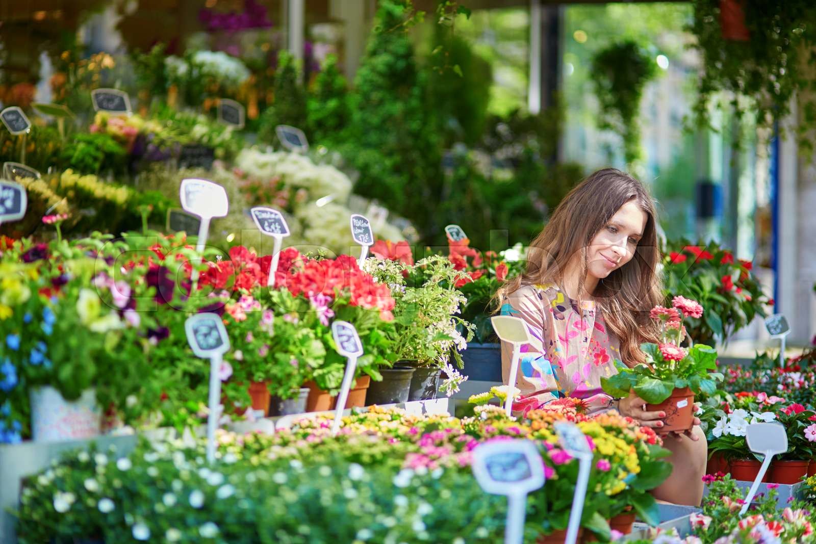 Customer selecting flowers in Parisian shop | Stock image | Colourbox