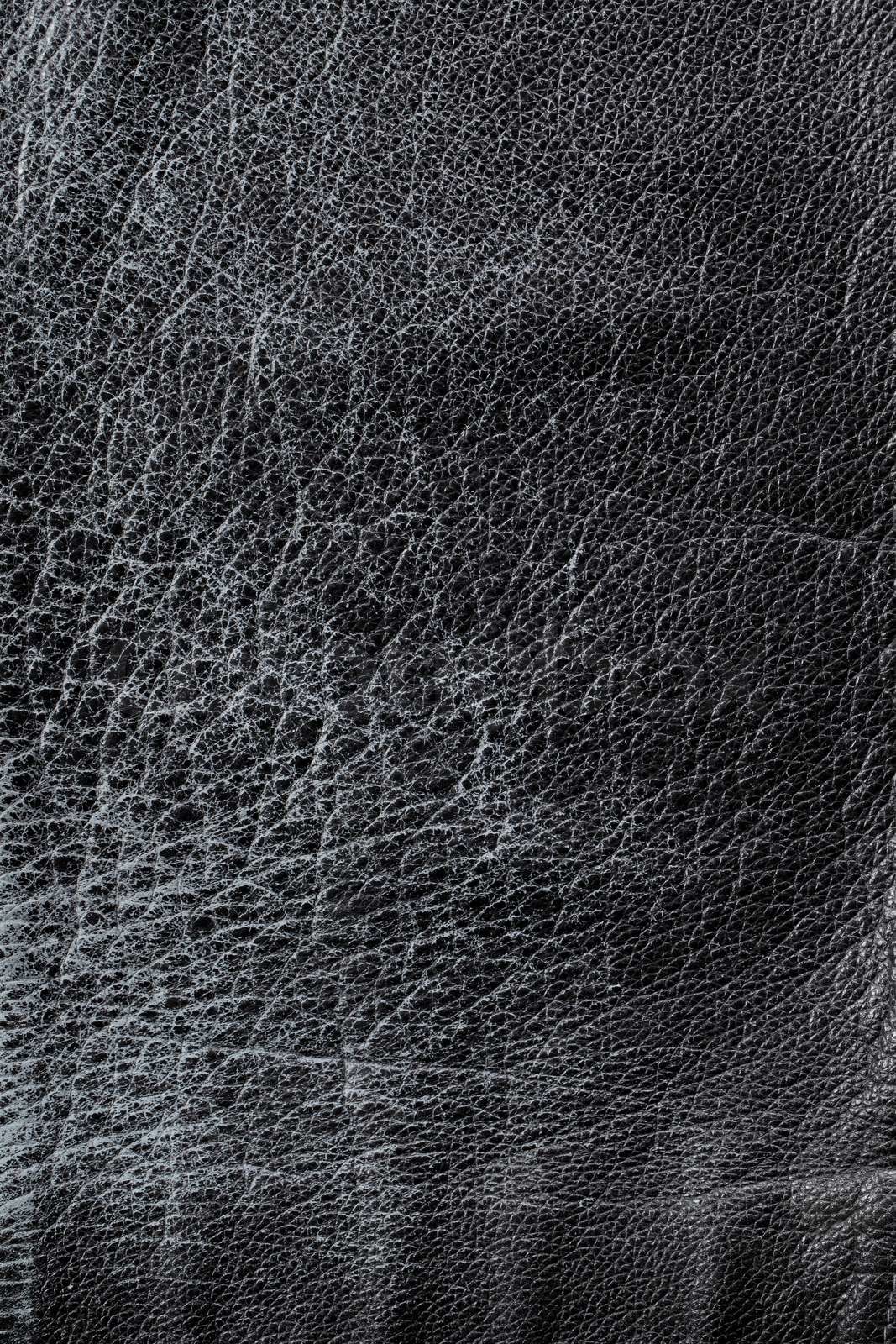 Black Leather Fabric Texture