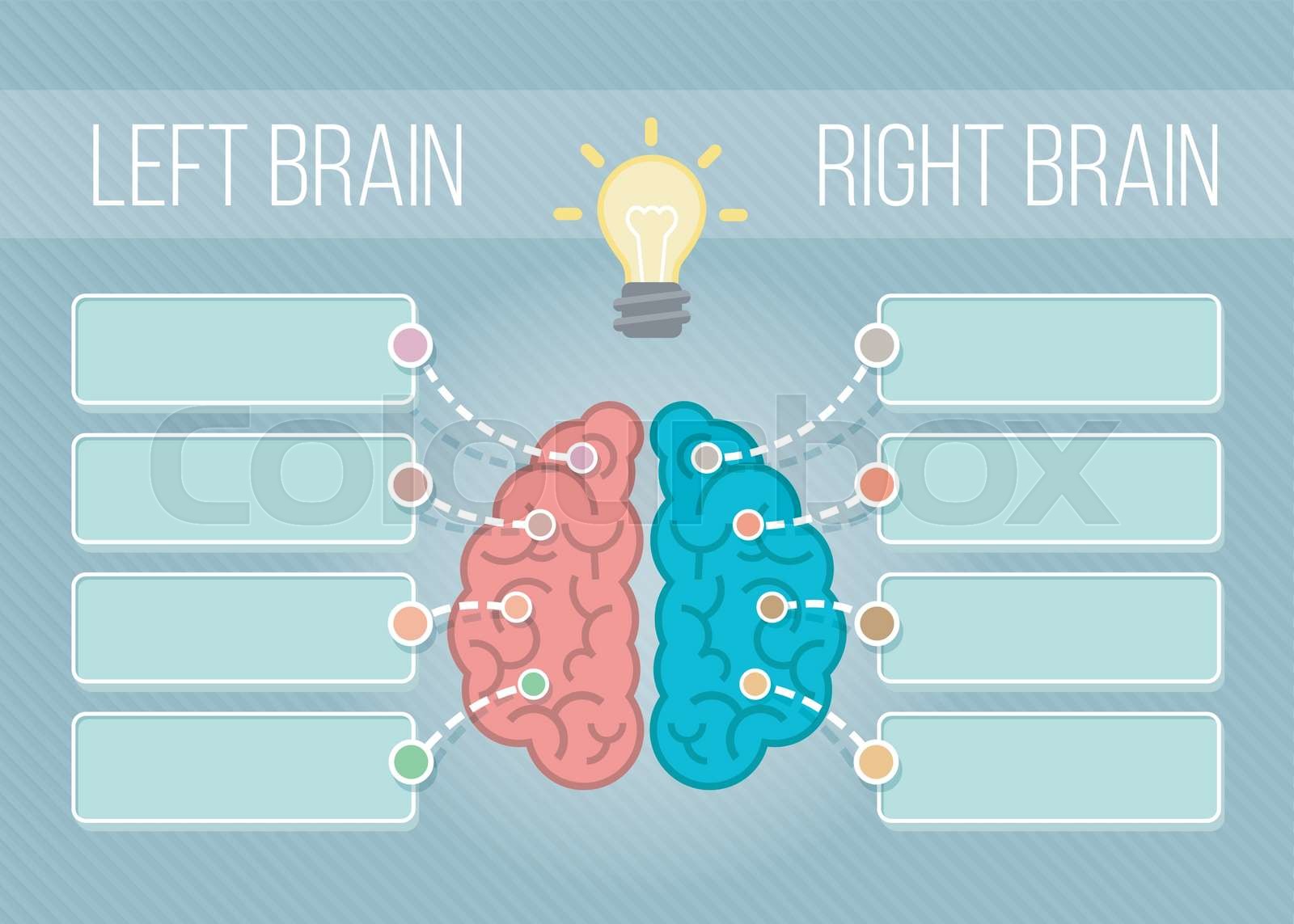 Left and Right Brain Infographics | Stock vector | Colourbox
