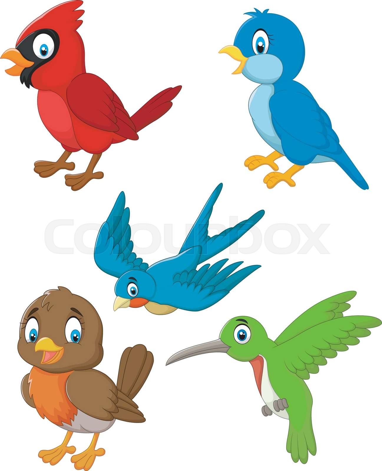 Cartoon birds collection set | Stock vector | Colourbox