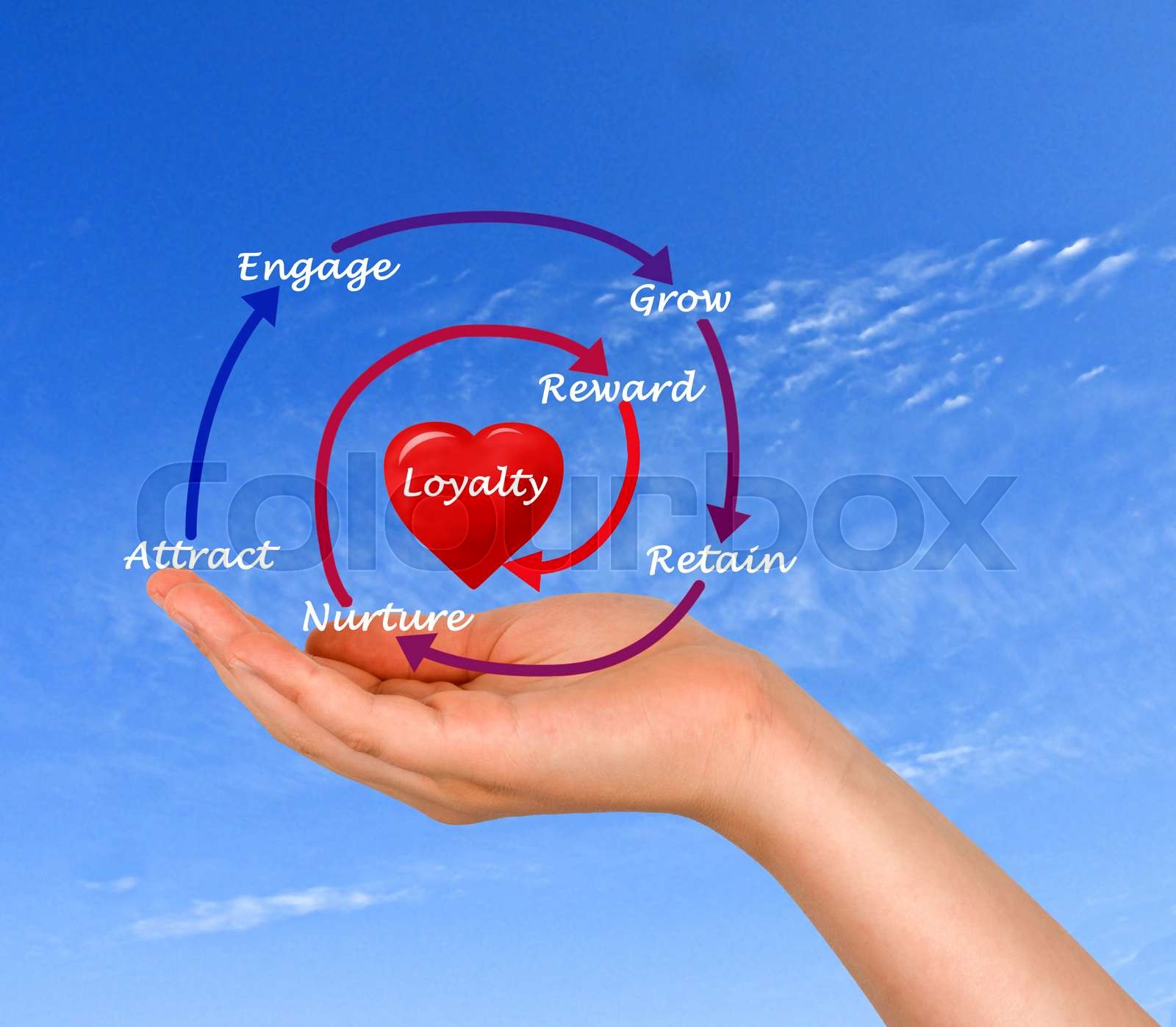 Diagram of Loyalty | Stock image | Colourbox