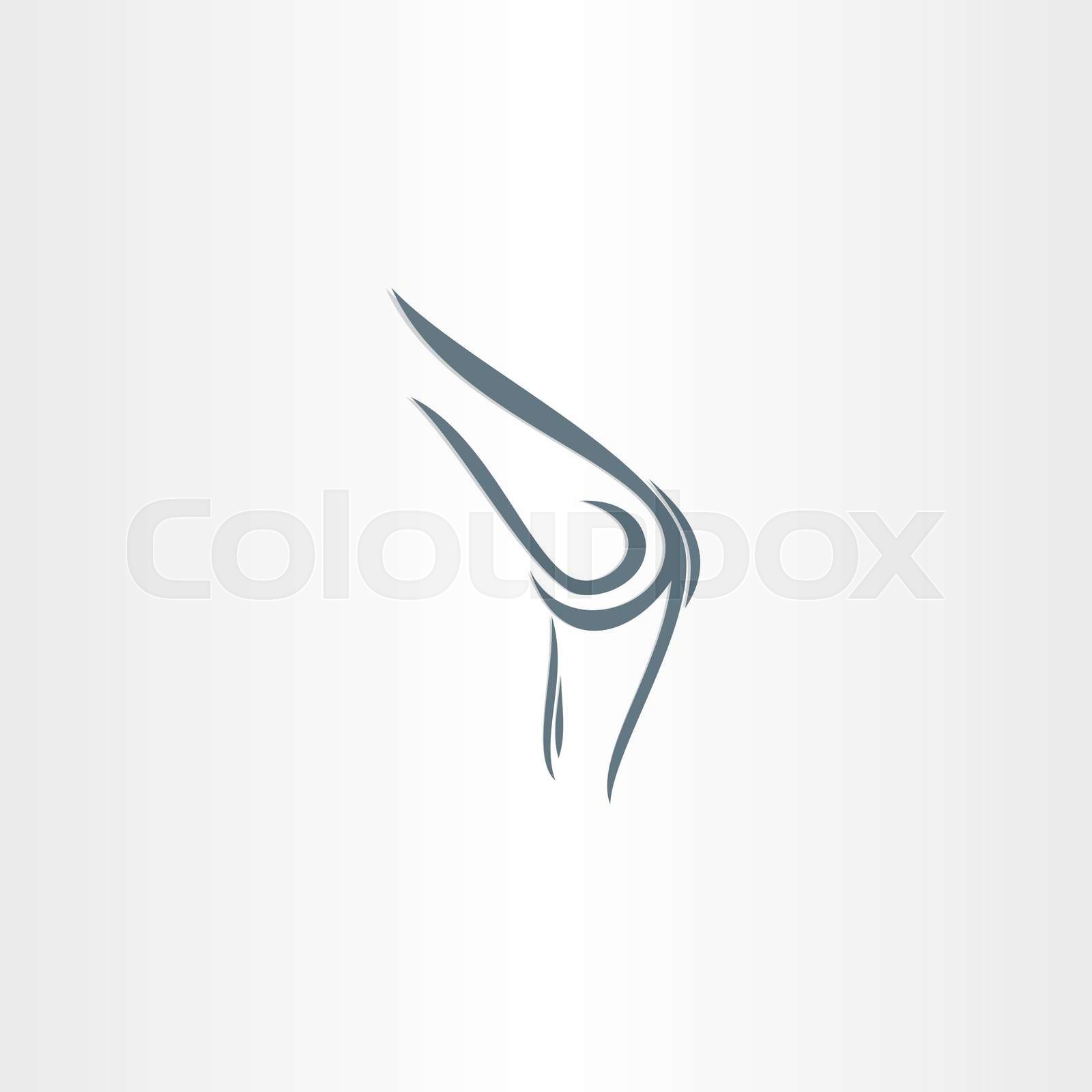 anatomi, ben, knæ | Stock vektor | Colourbox