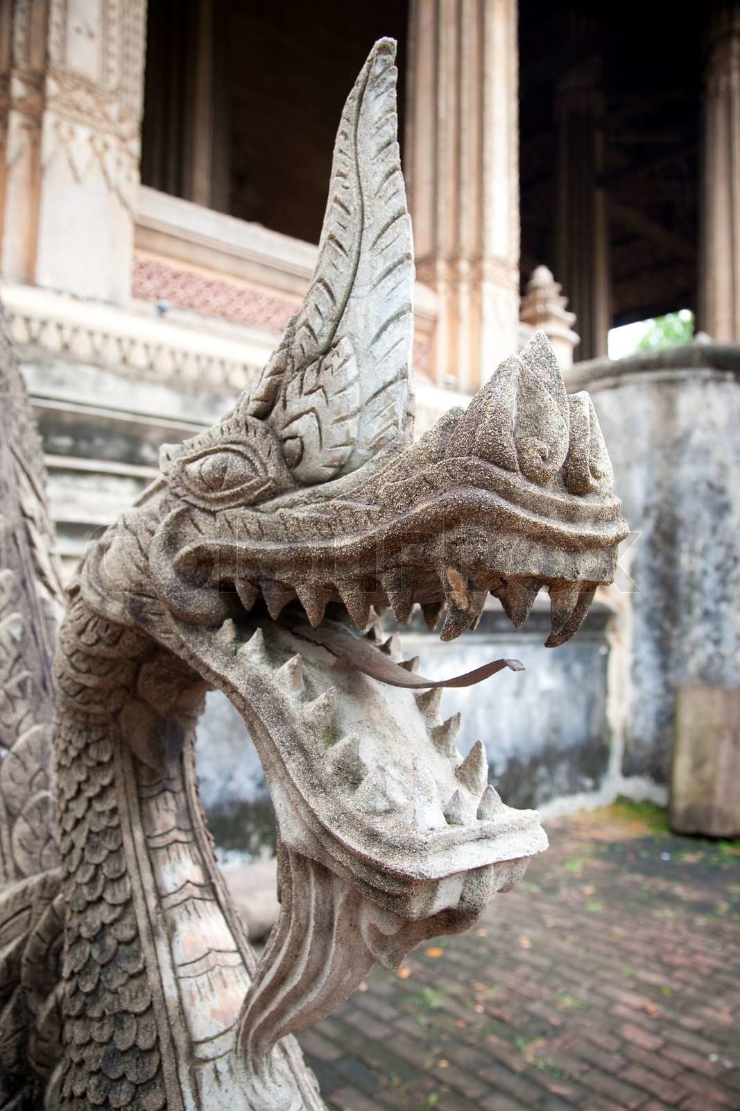 Buddhist mythical figure of Naga (magic dragon that lives in water ...