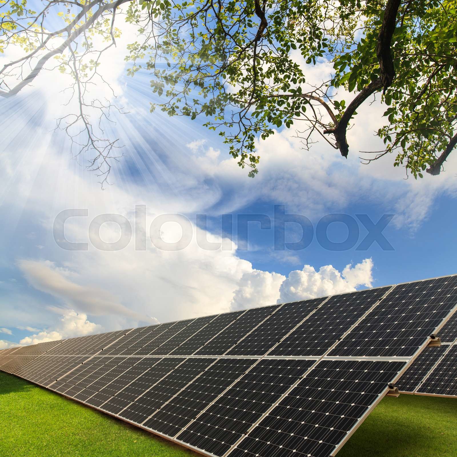 Solar panels | Stock image | Colourbox