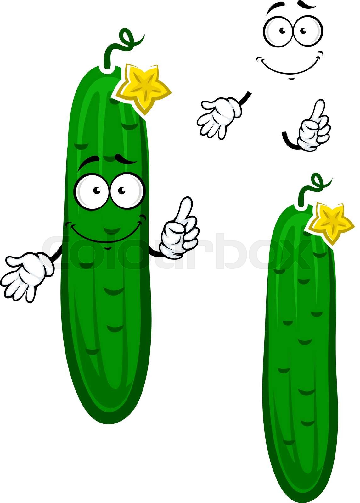 Cartoon crunchy cucumber vegetable character | Stock vector | Colourbox