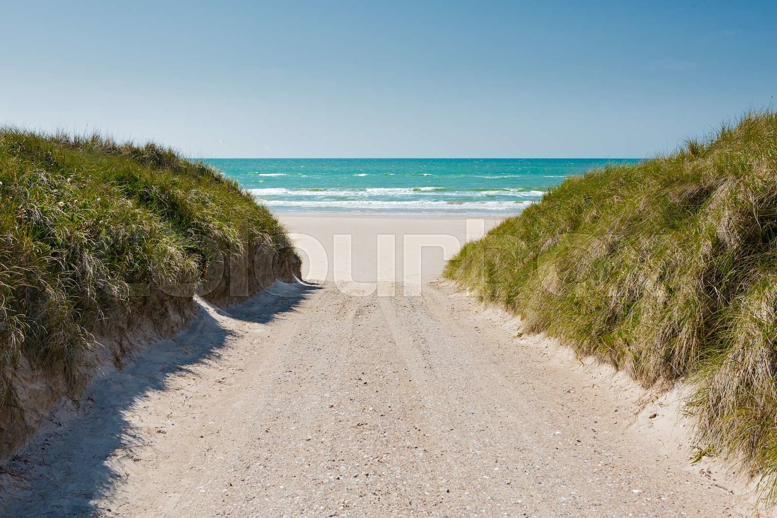 Path to the beach in summer | Stock image | Colourbox