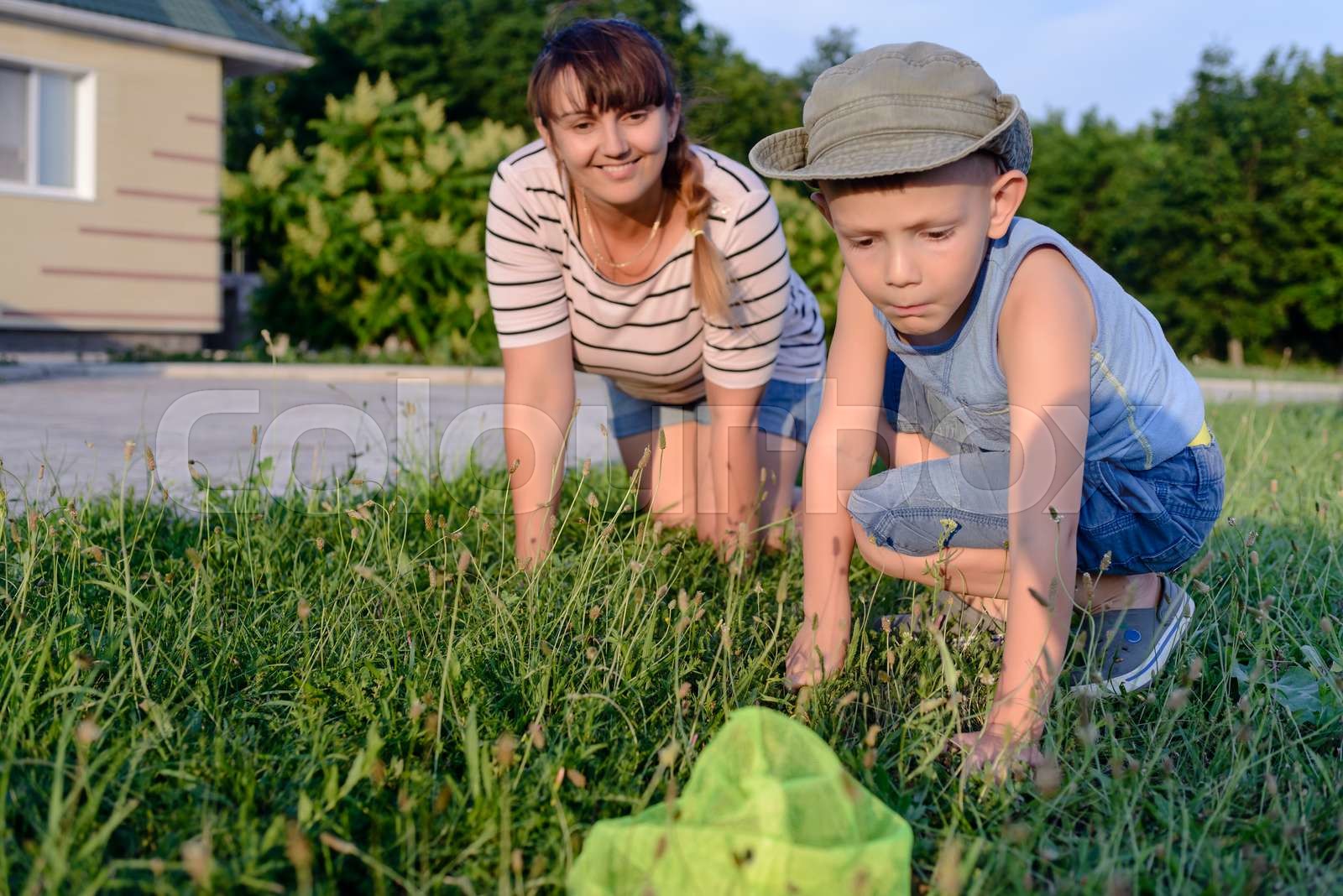 Little boy catching insects with his mother | Stock image | Colourbox