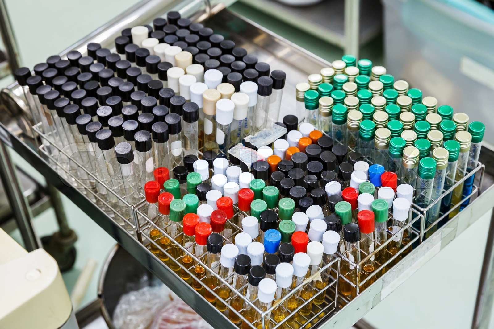 Dirty laboratory test tubes in racks | Stock image | Colourbox