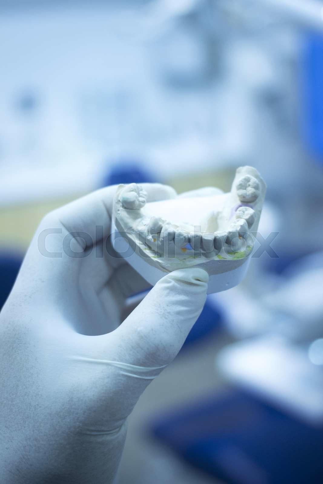 Dental mold dentist clay teeth ceramic plate model cast | Stock image ...