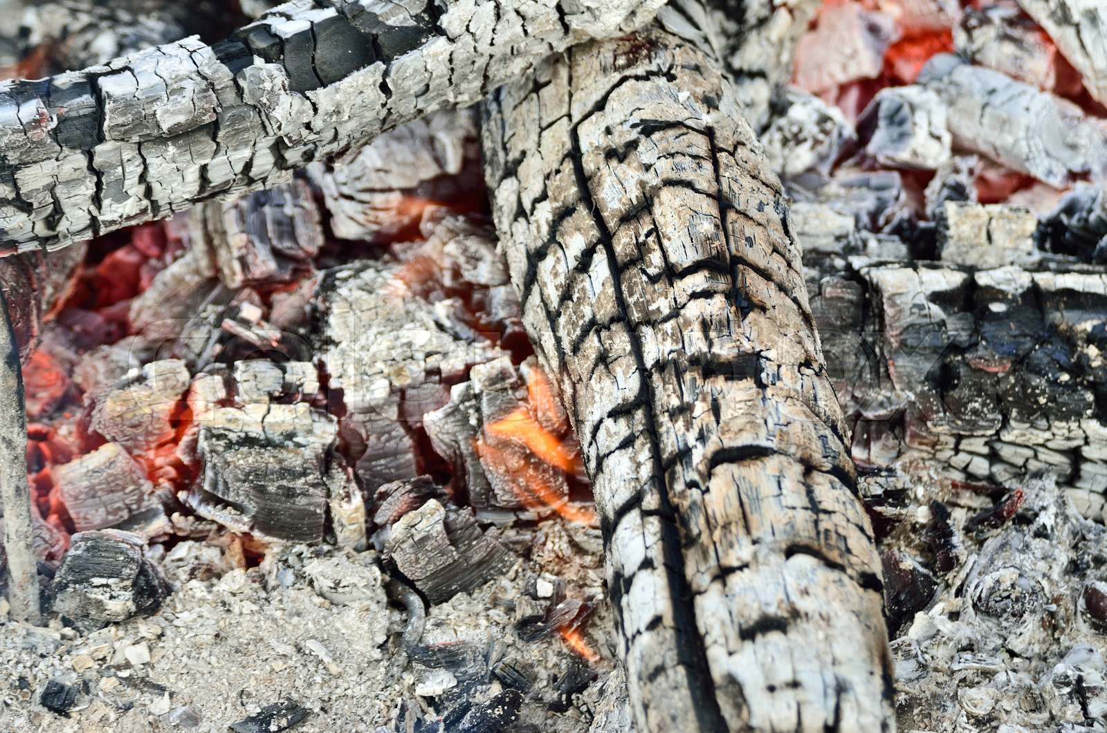 Charred wood burning down in the fire glow, close-up | Stock image ...