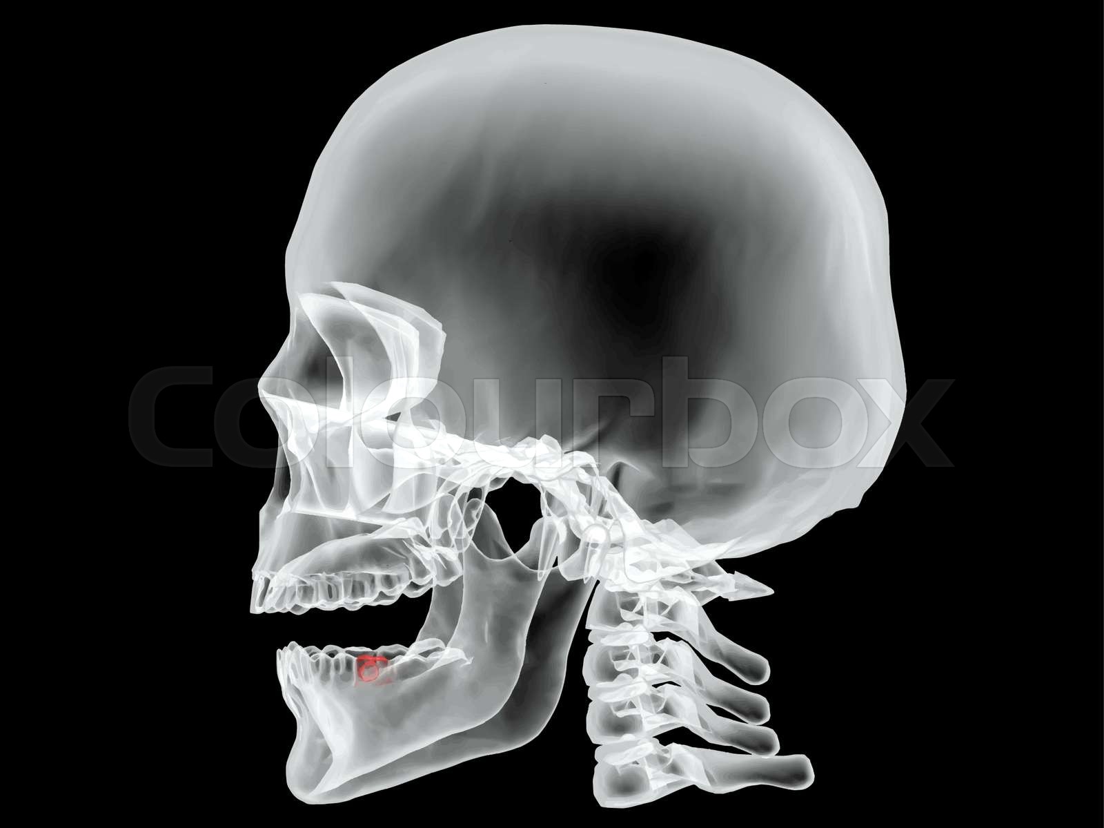 Blueprint with x-ray | Stock vector | Colourbox