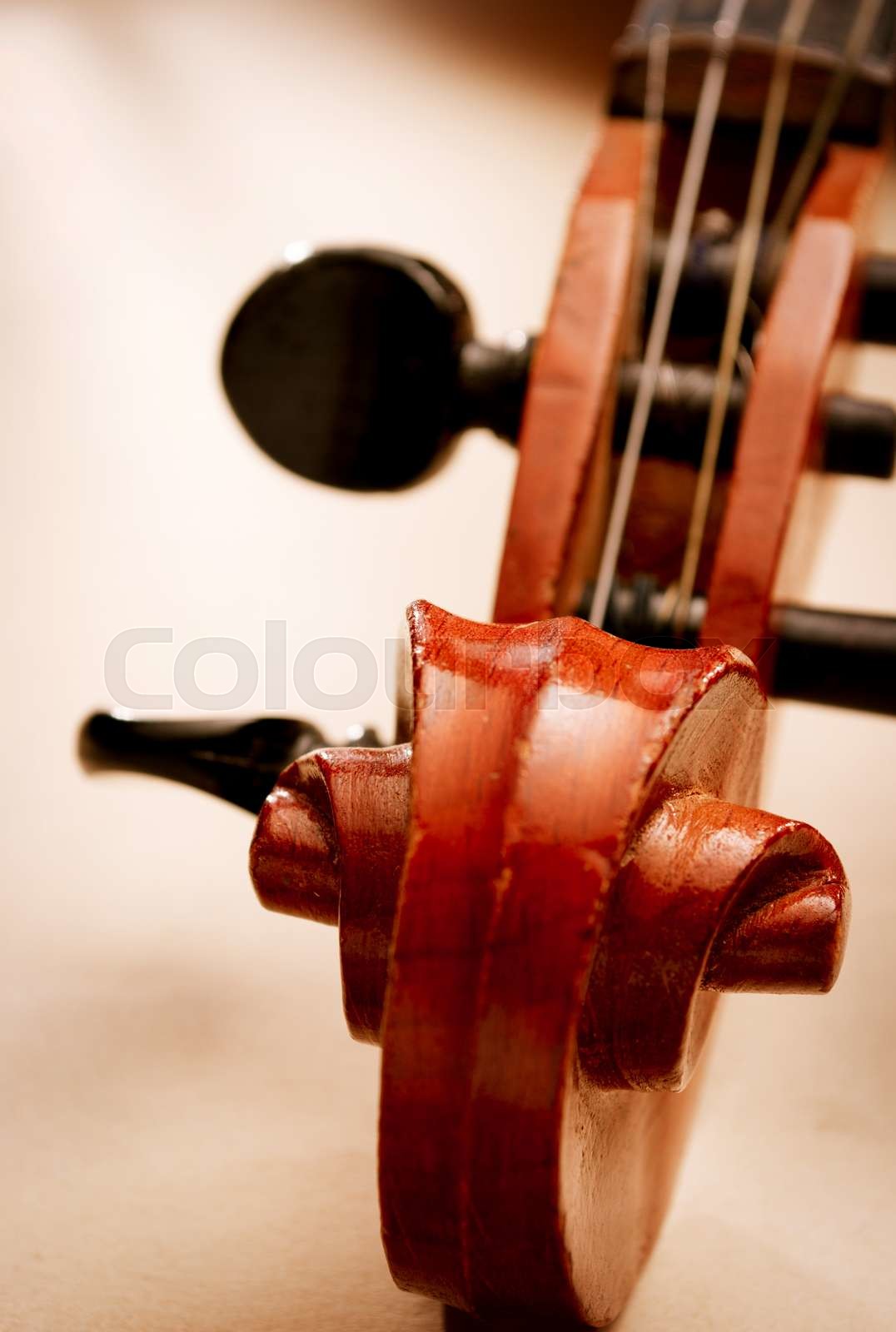 Close Up of Violin Scroll and Pegbox | Stock image | Colourbox