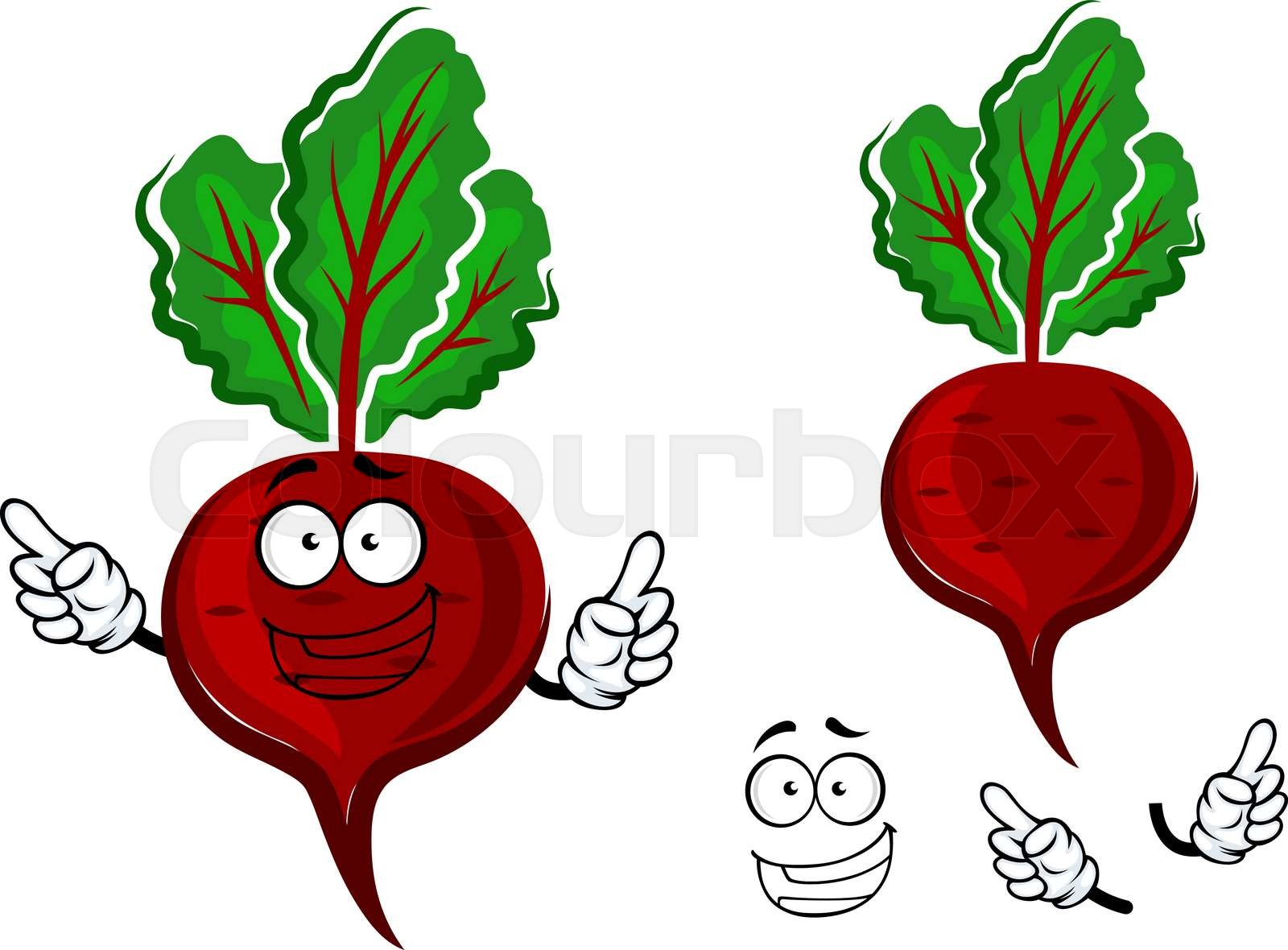 Cartoon fresh red beetroot vegetable | Stock vector | Colourbox