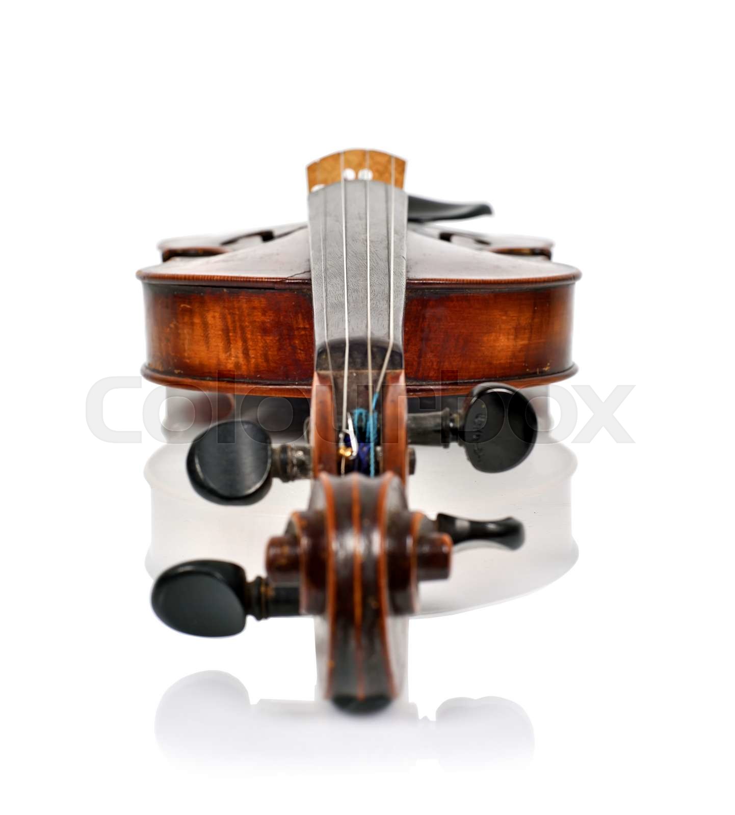 violin head | Stock image | Colourbox