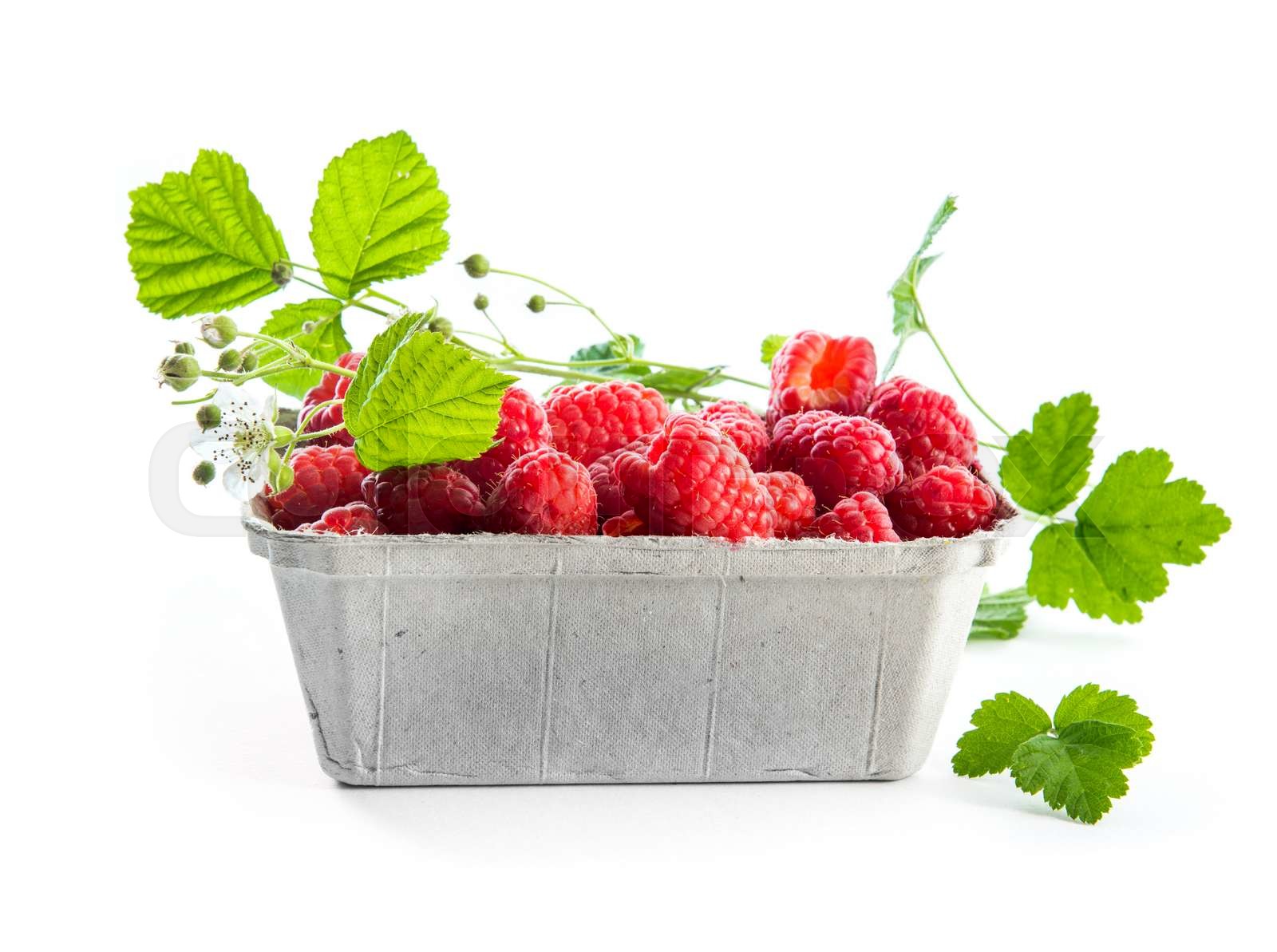 Raspberry container | Stock image | Colourbox