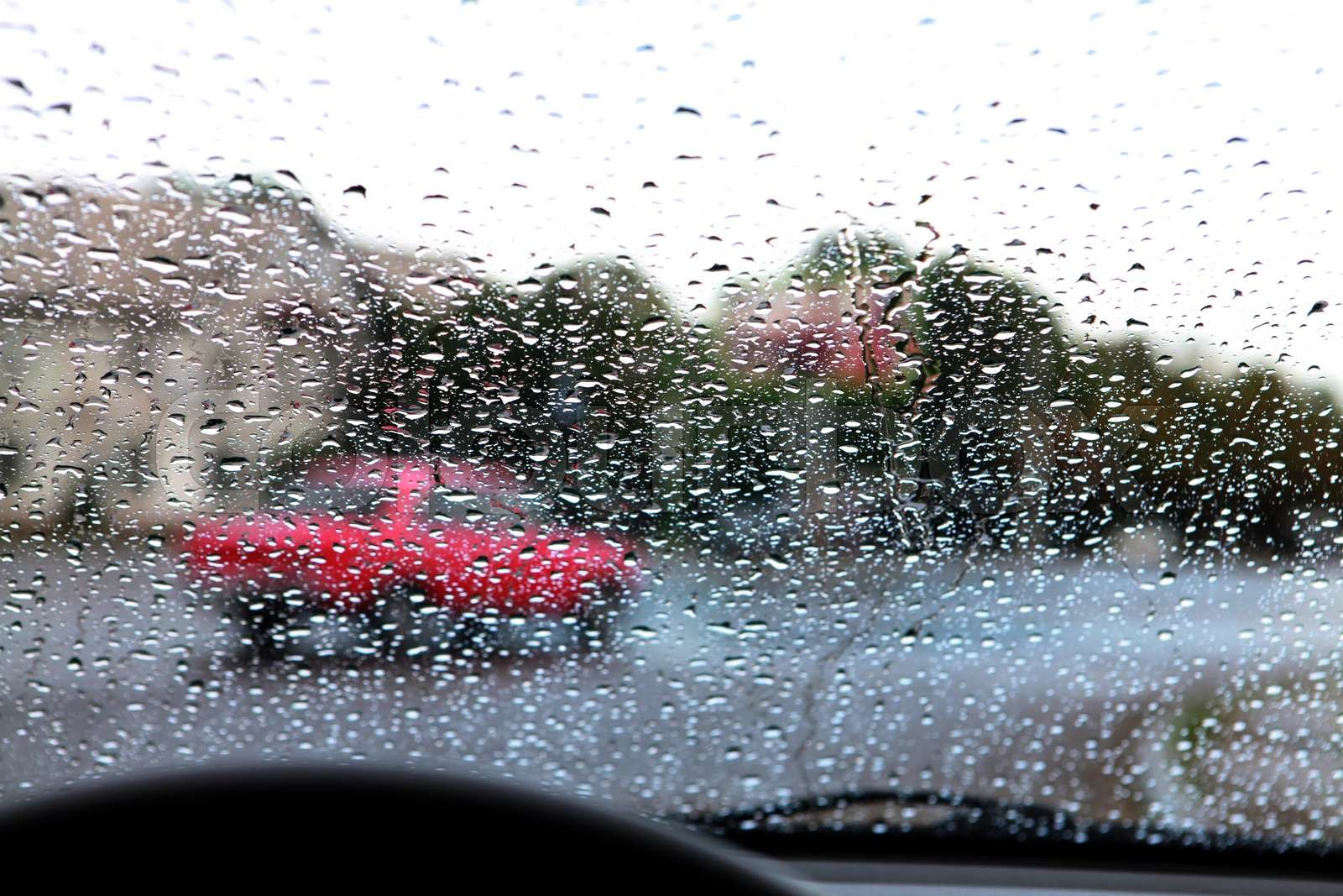 droplets on car windshield | Stock image | Colourbox