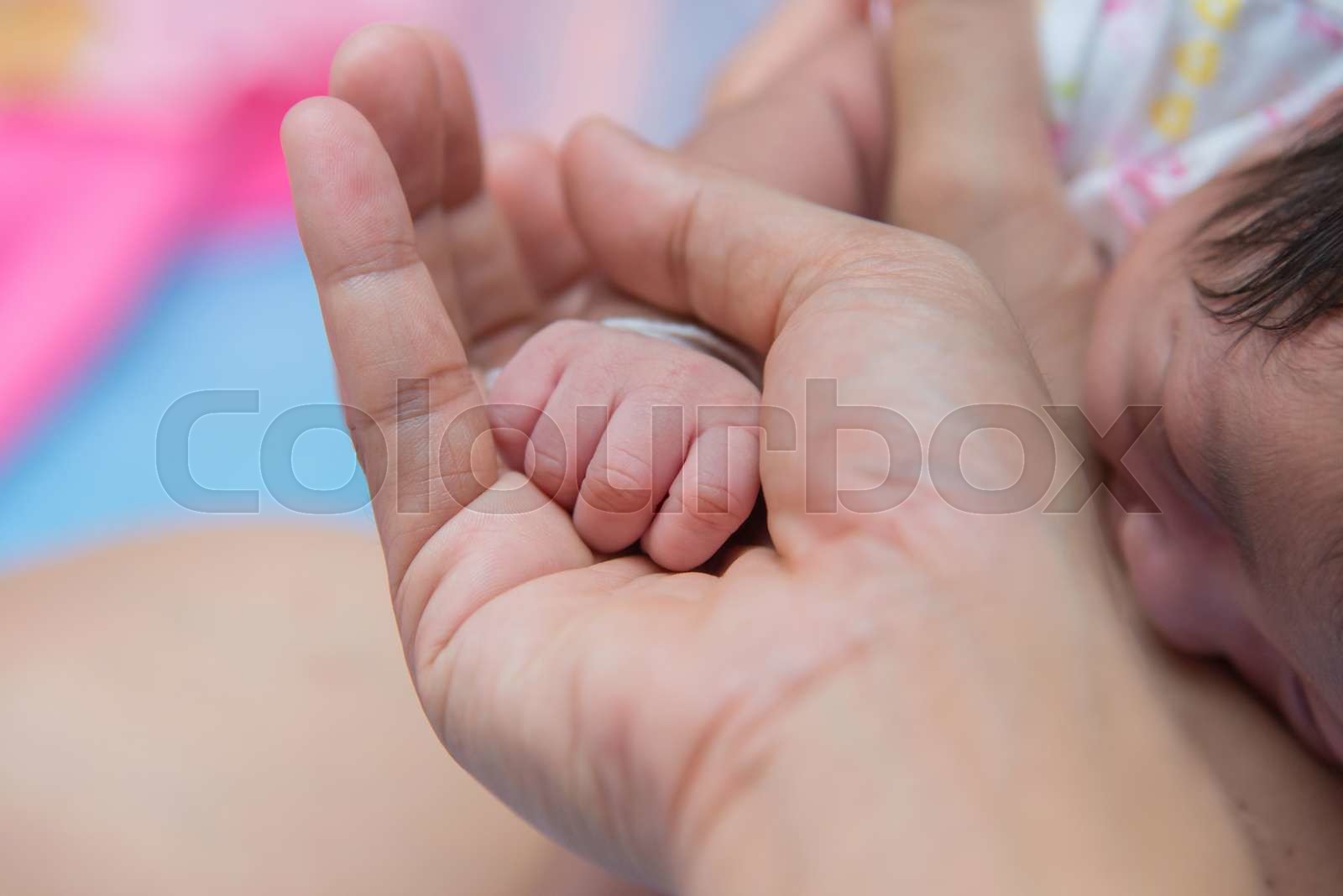 New born baby hand in mom's palm | Stock image | Colourbox