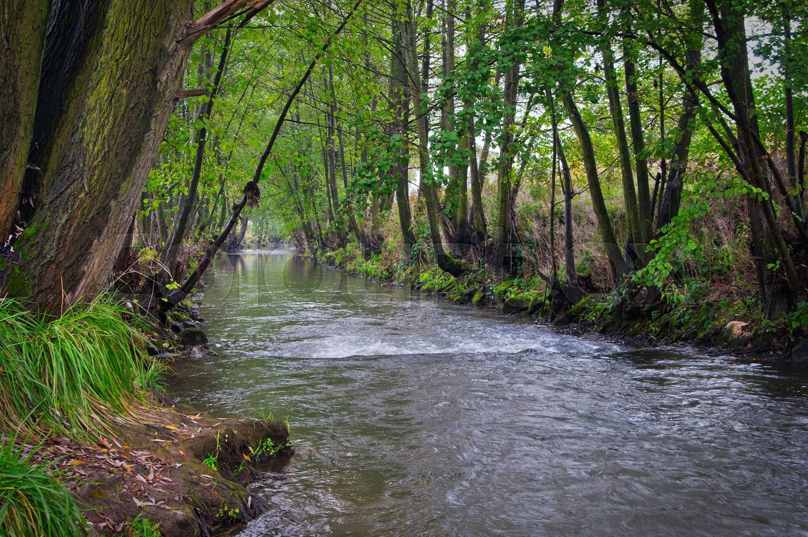 river | Stock image | Colourbox