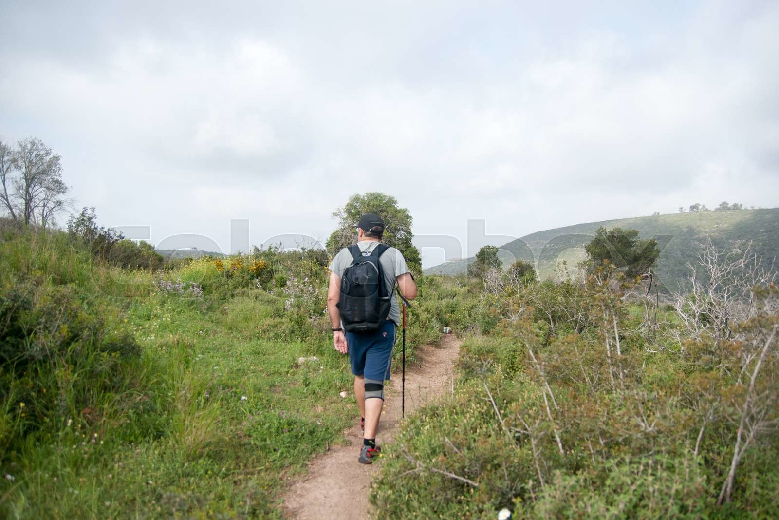 Hiking in nature trail | Stock image | Colourbox