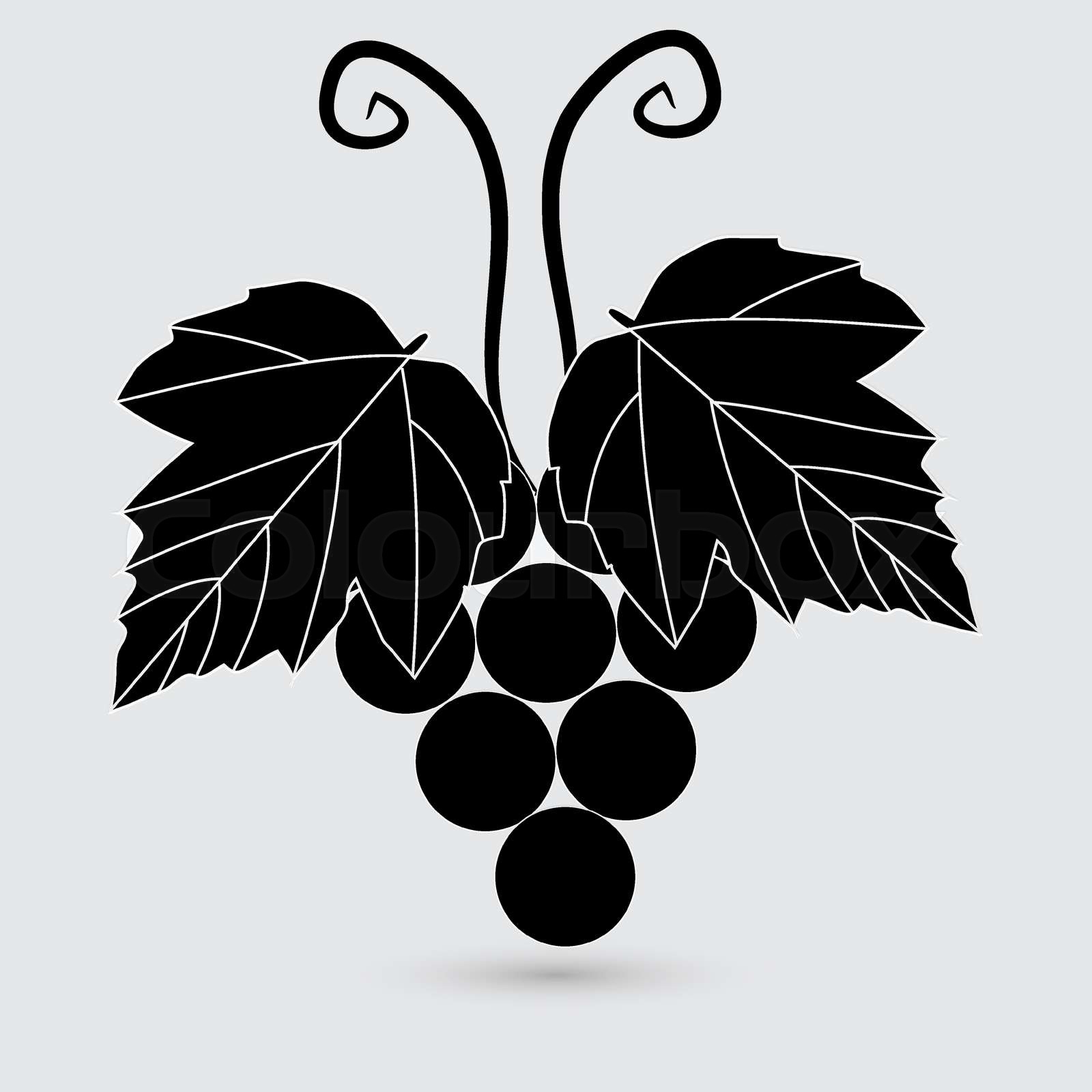 vine icon | Stock vector | Colourbox