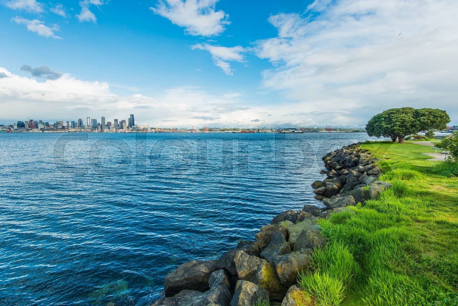 Seattle Bay and Skyline | Stock image | Colourbox