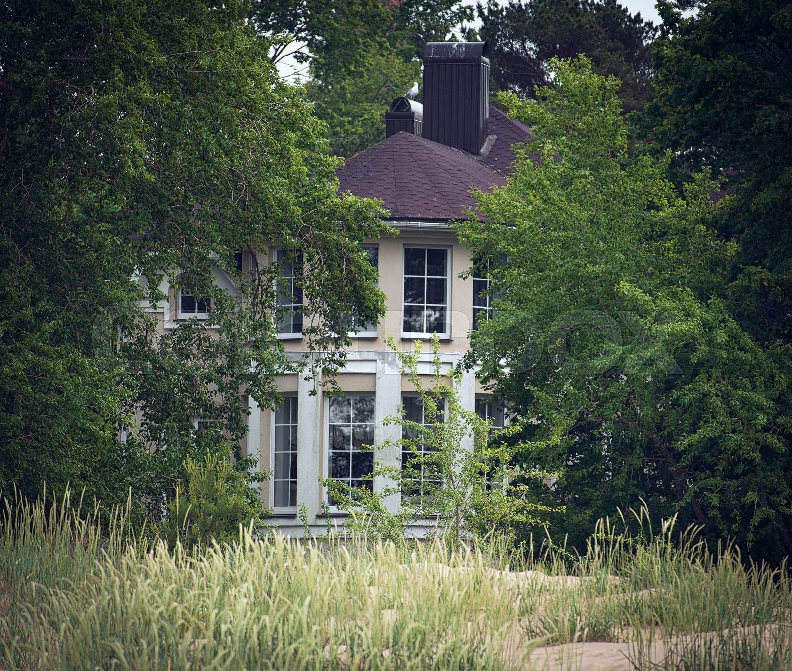 Hidden mansion in the woods. | Stock image | Colourbox