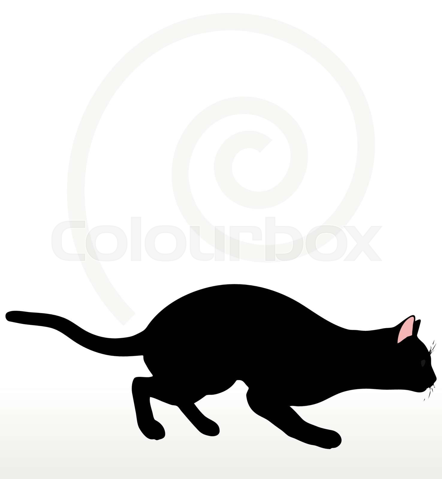 cat silhouette in Stalking pose | Stock vector | Colourbox