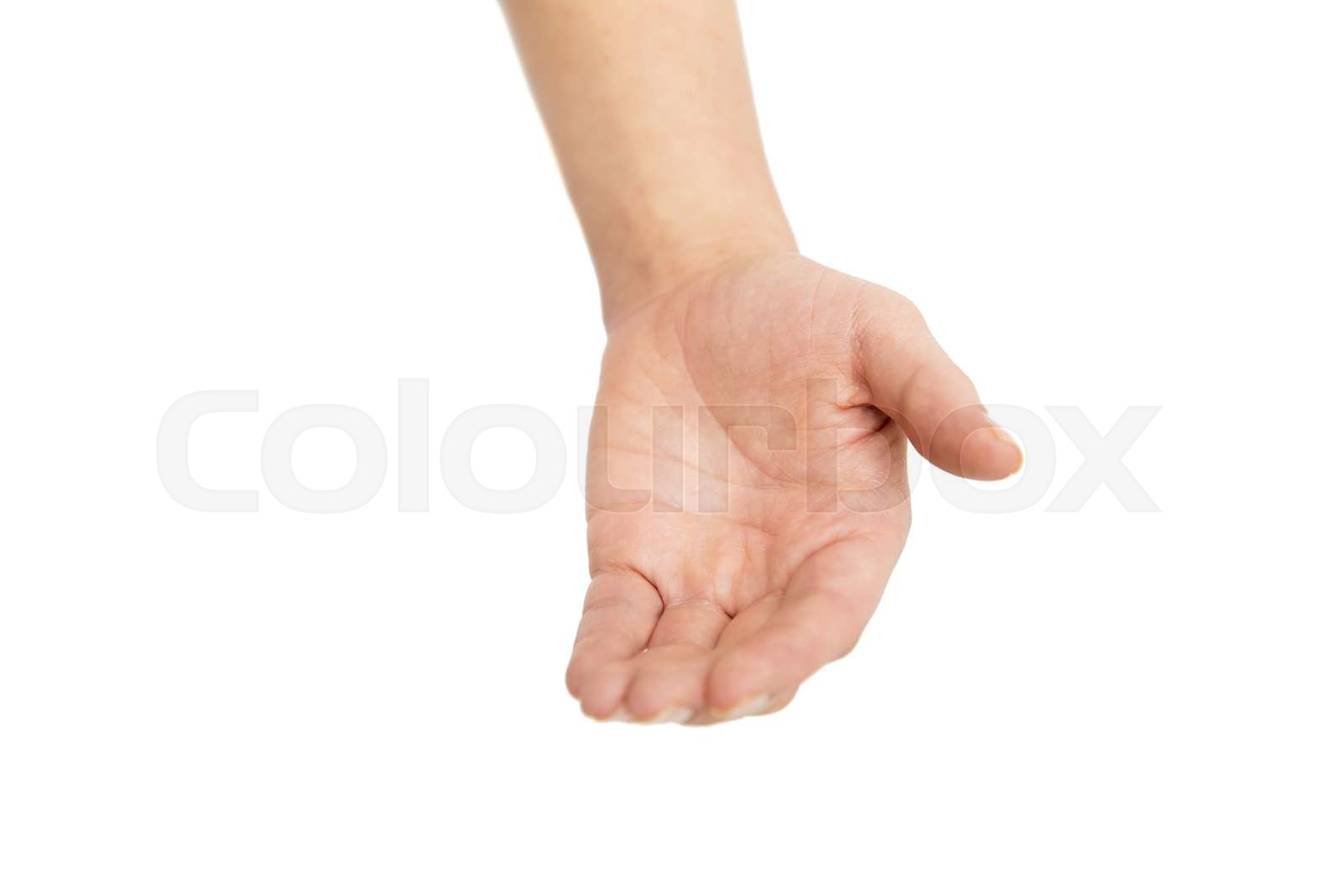 human hand or palm | Stock image | Colourbox