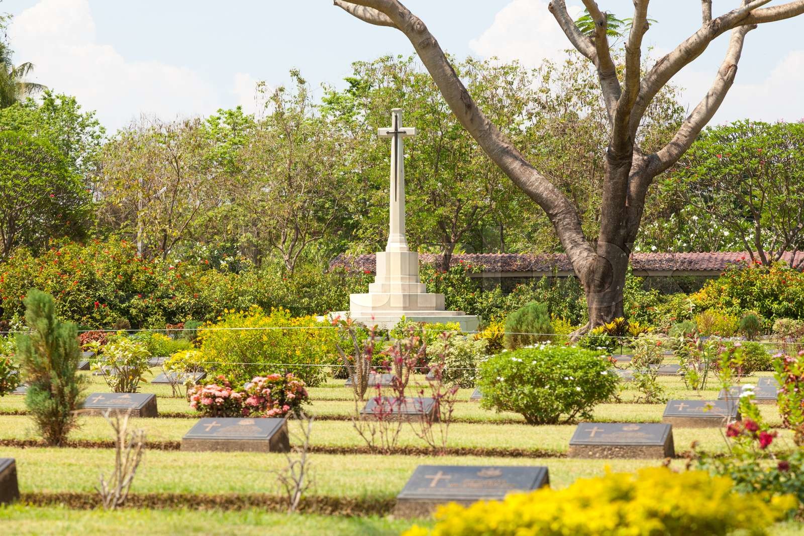 graveyard | Stock image | Colourbox