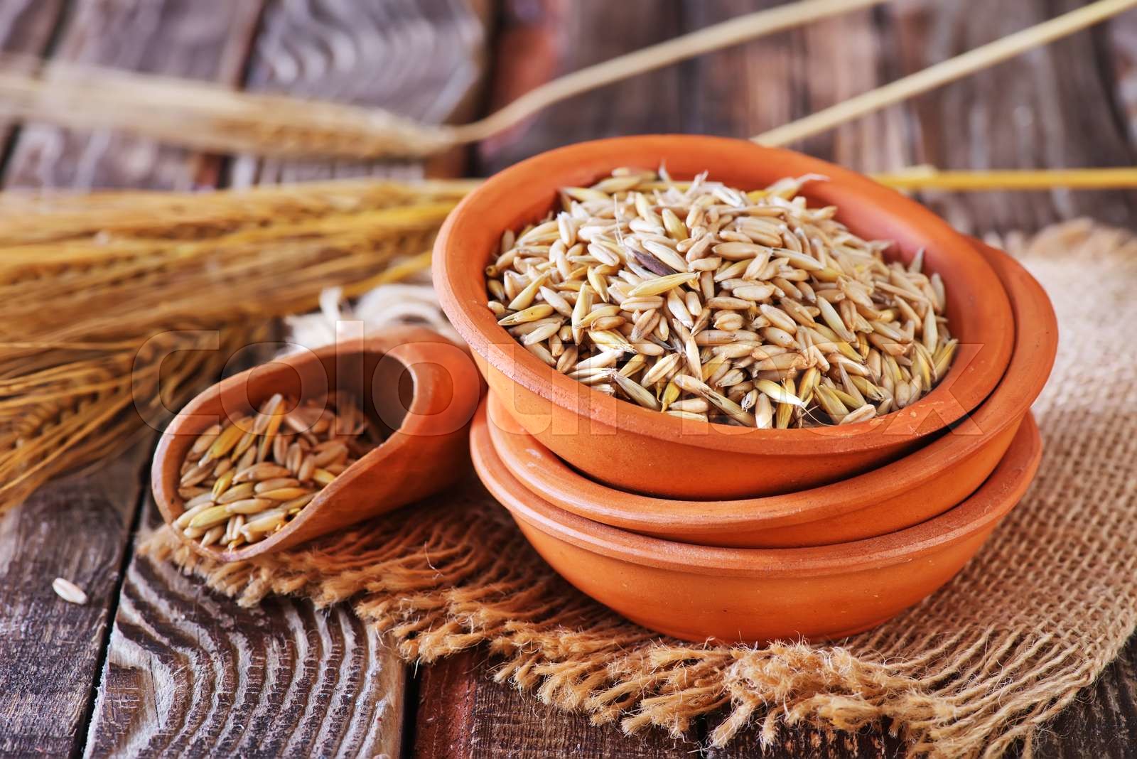 oat grain | Stock image | Colourbox