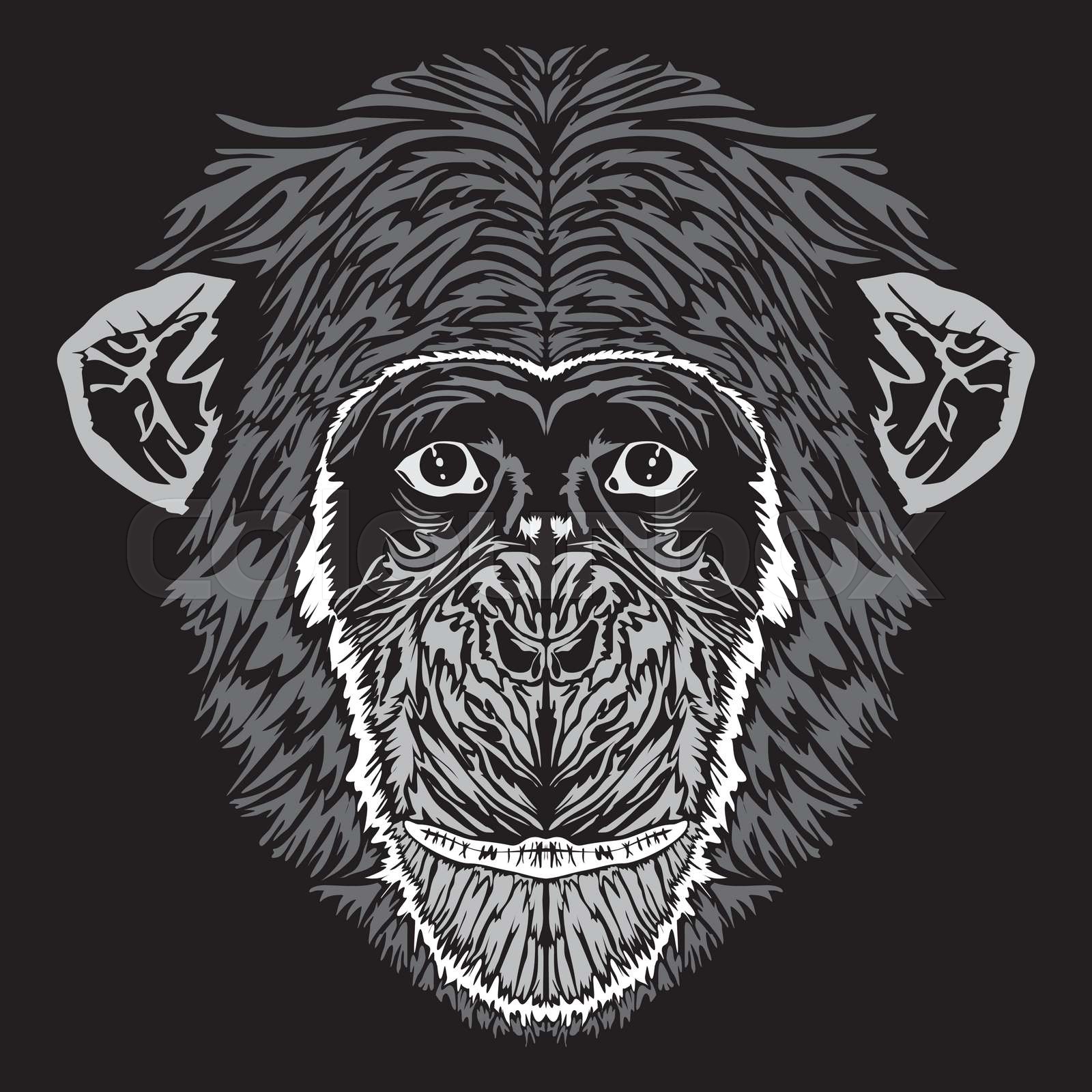 Monkey head | Stock vector | Colourbox
