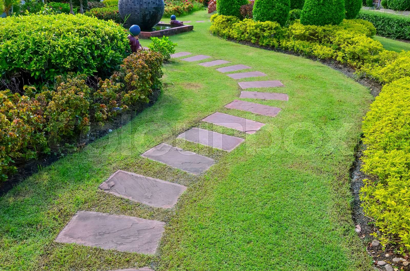 pathway with green grass in garden | Stock image | Colourbox