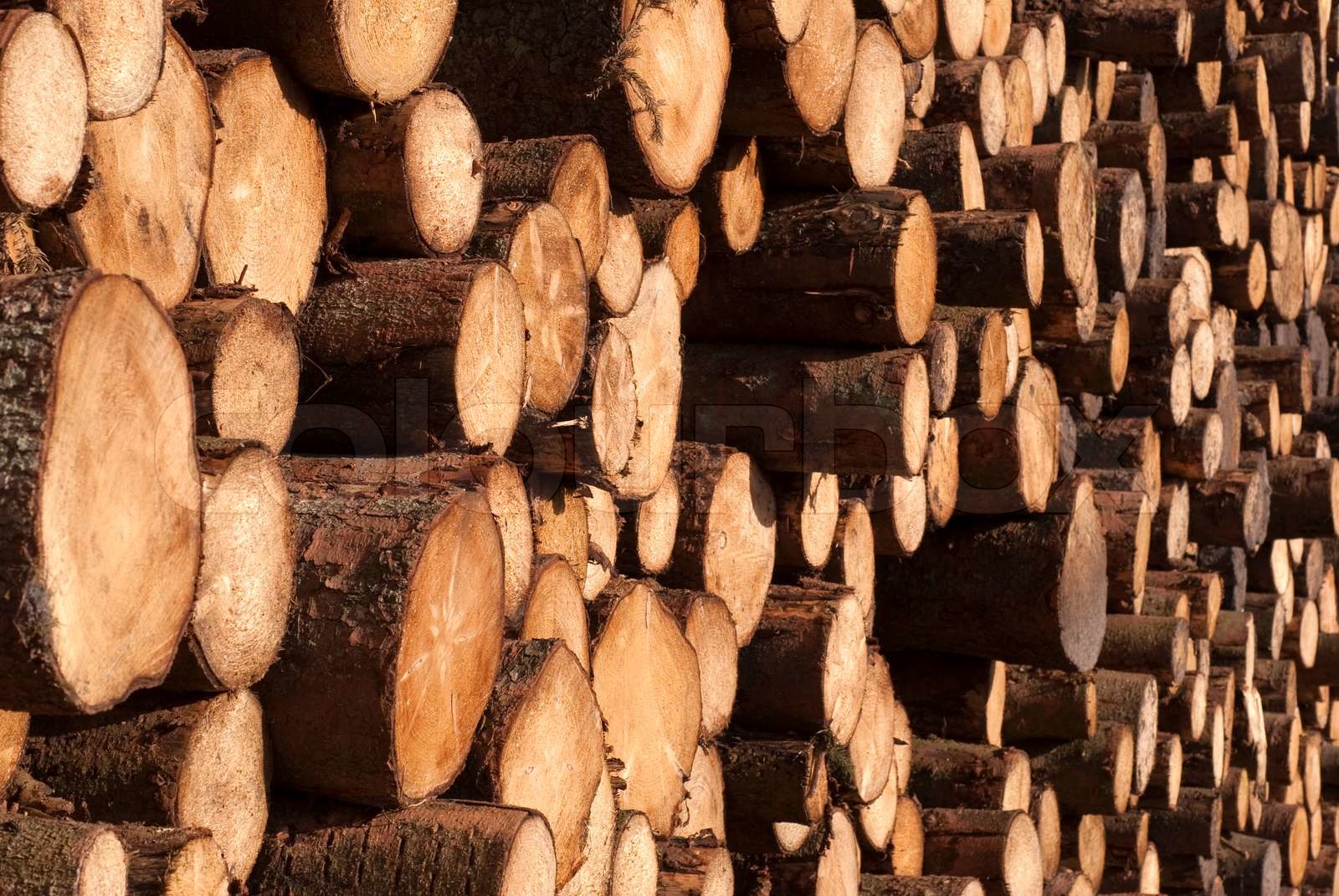 Stacked timber . | Stock image | Colourbox