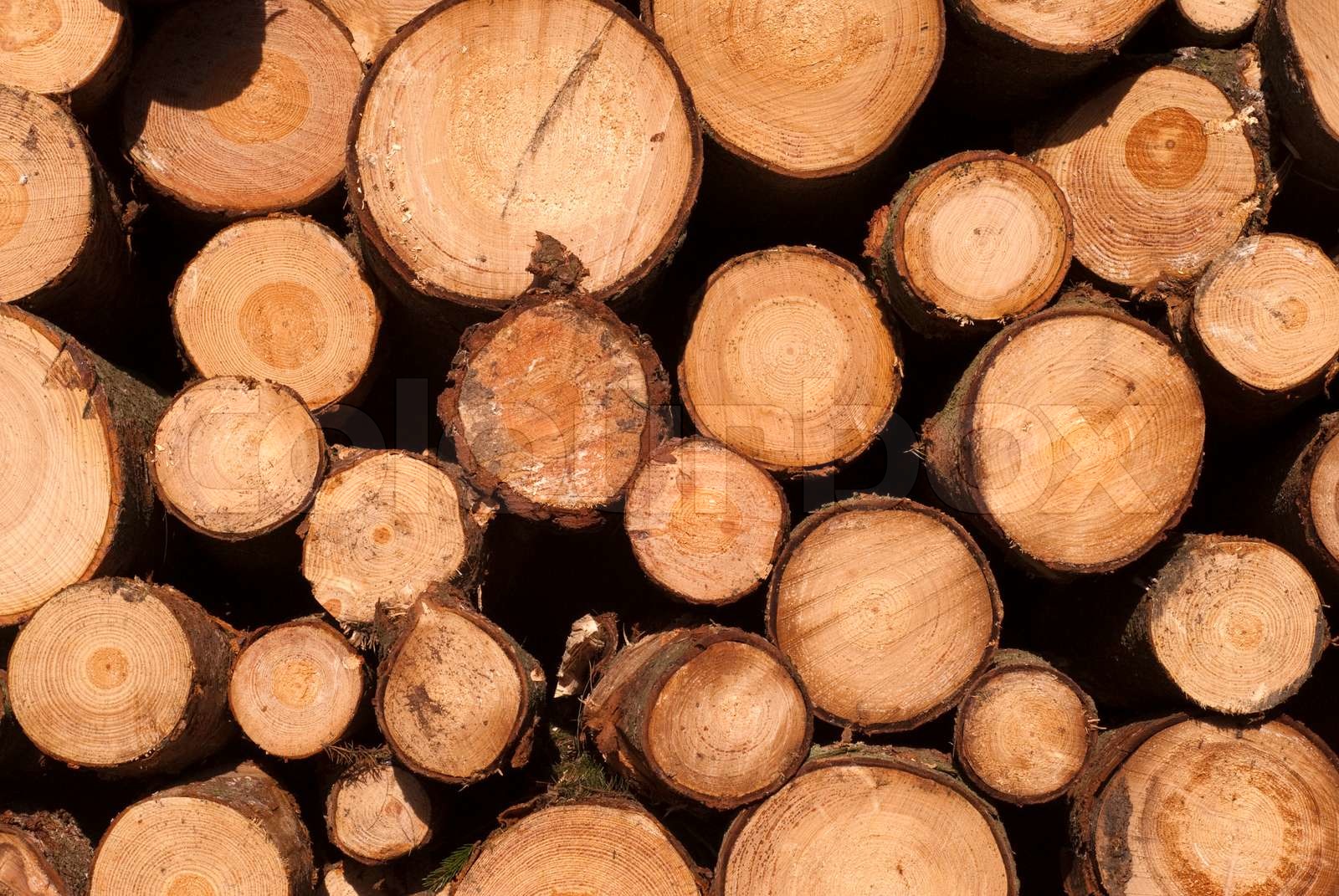 Nahaufnahme Holz. | Stock Bild | Colourbox