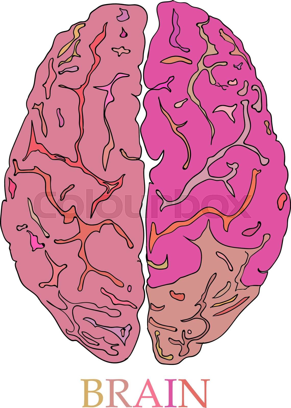 Minimal style Brain Icon Illustration | Stock vector | Colourbox