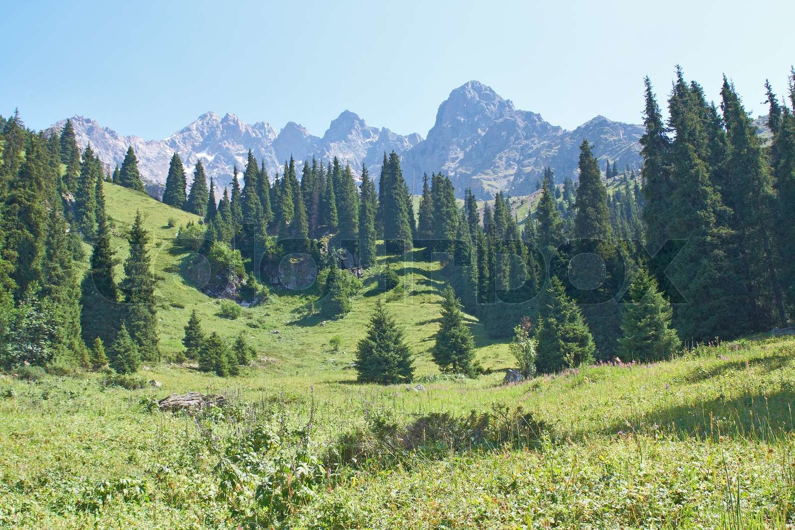 Mountain landscape, Central Asia, Kazakhstan | Stock image | Colourbox