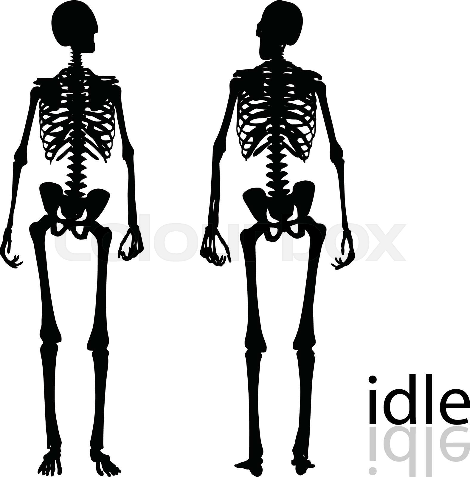 skeleton silhouette in idle pose | Stock vector | Colourbox